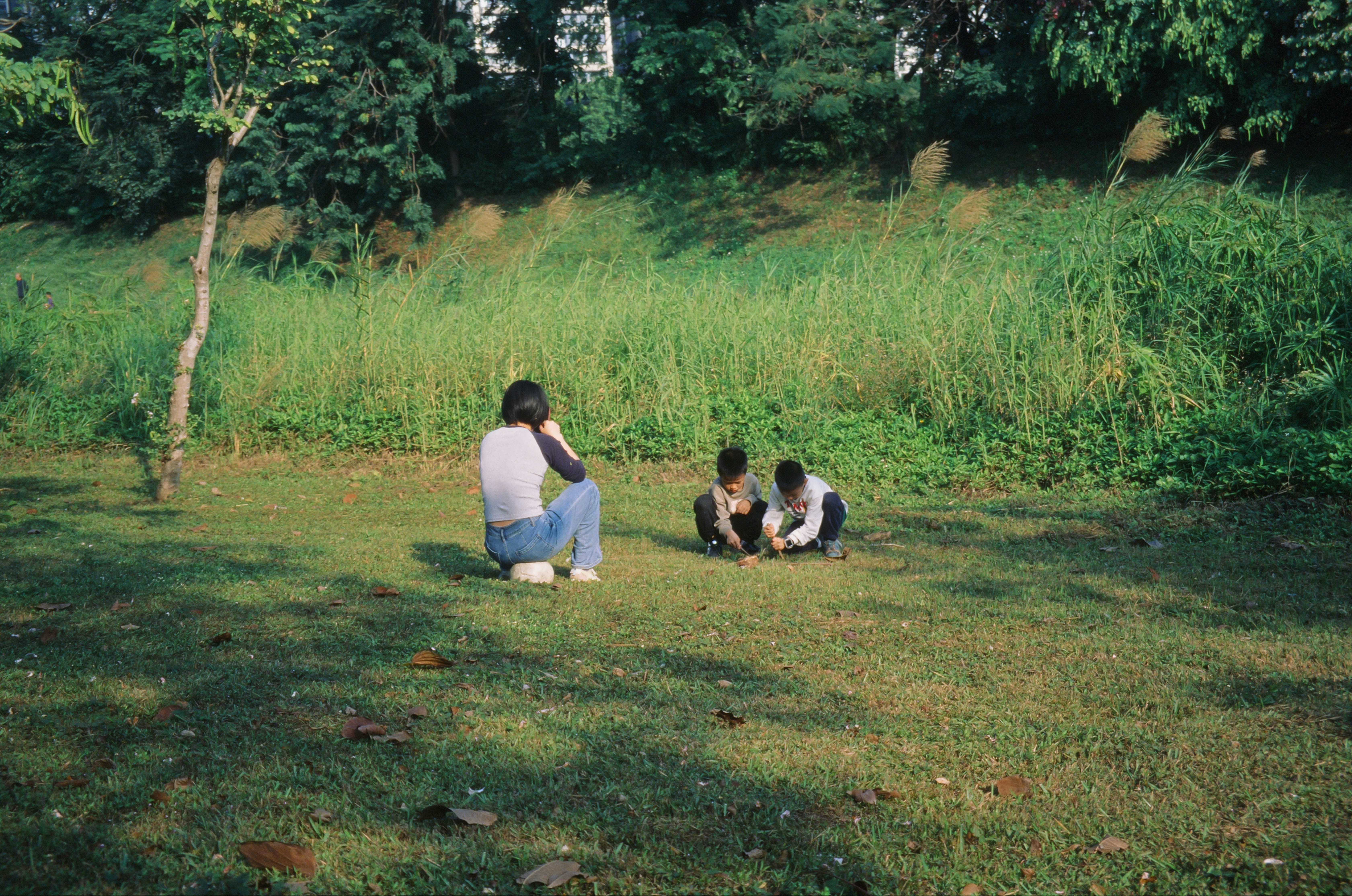 Sample photo from Canon Sure Shot Z115