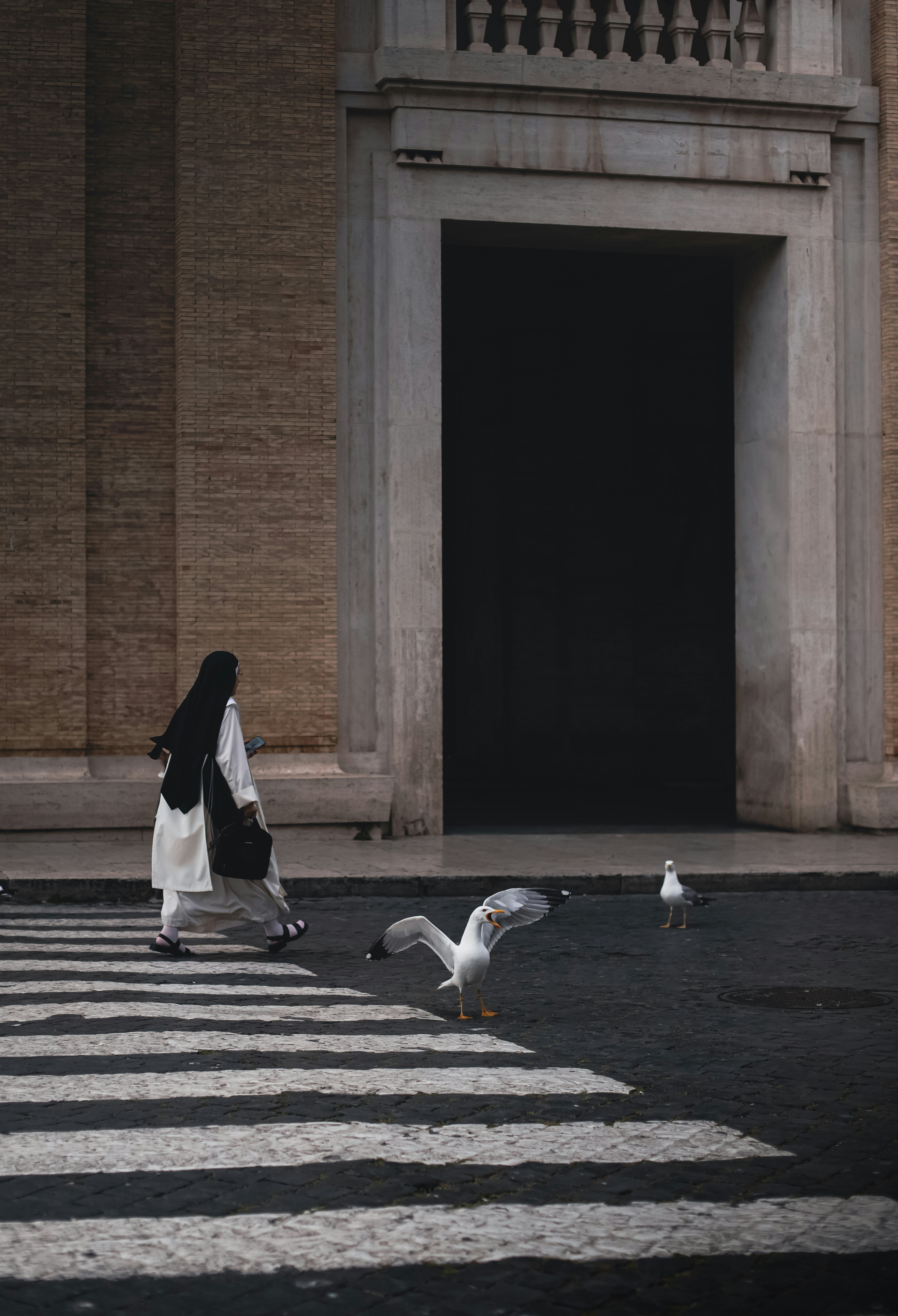 Crossing the Gate: A Figure in White Amid Seagulls and Stone