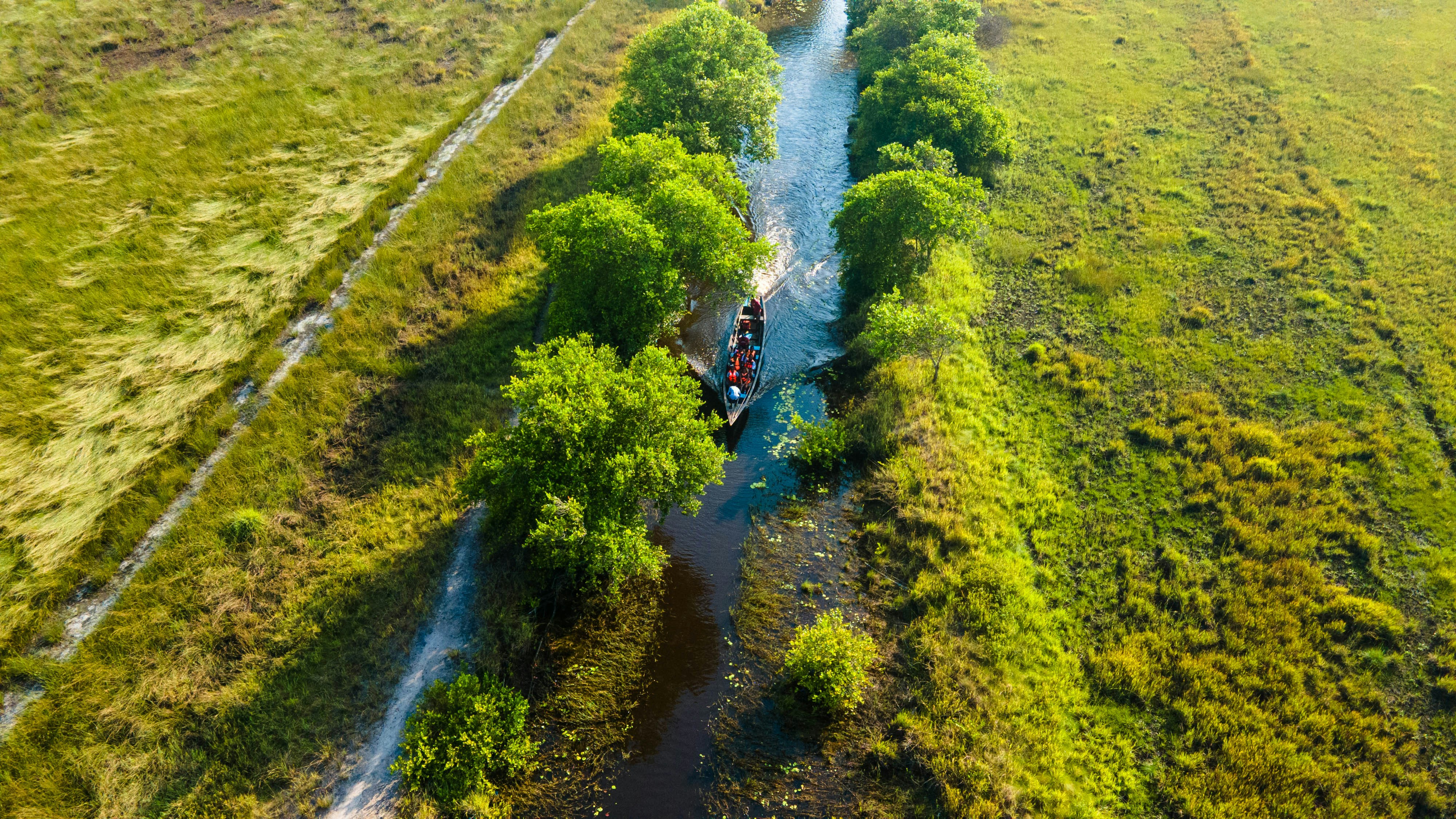 Meandering River Corridor Through Lush Green Mosaic