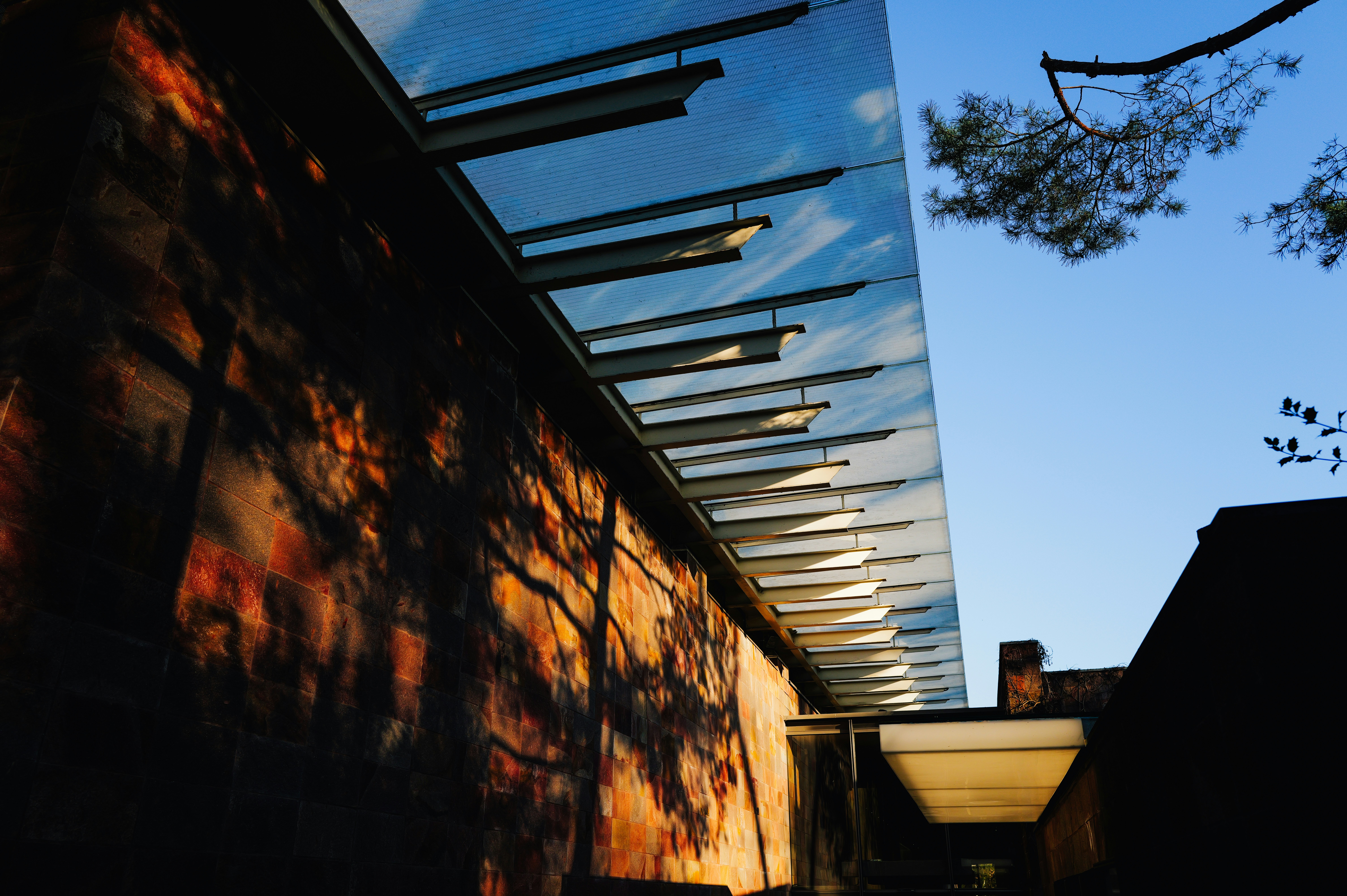 Adrien Olichon (@adrienolichon) | Unsplashフォトコミュニティ