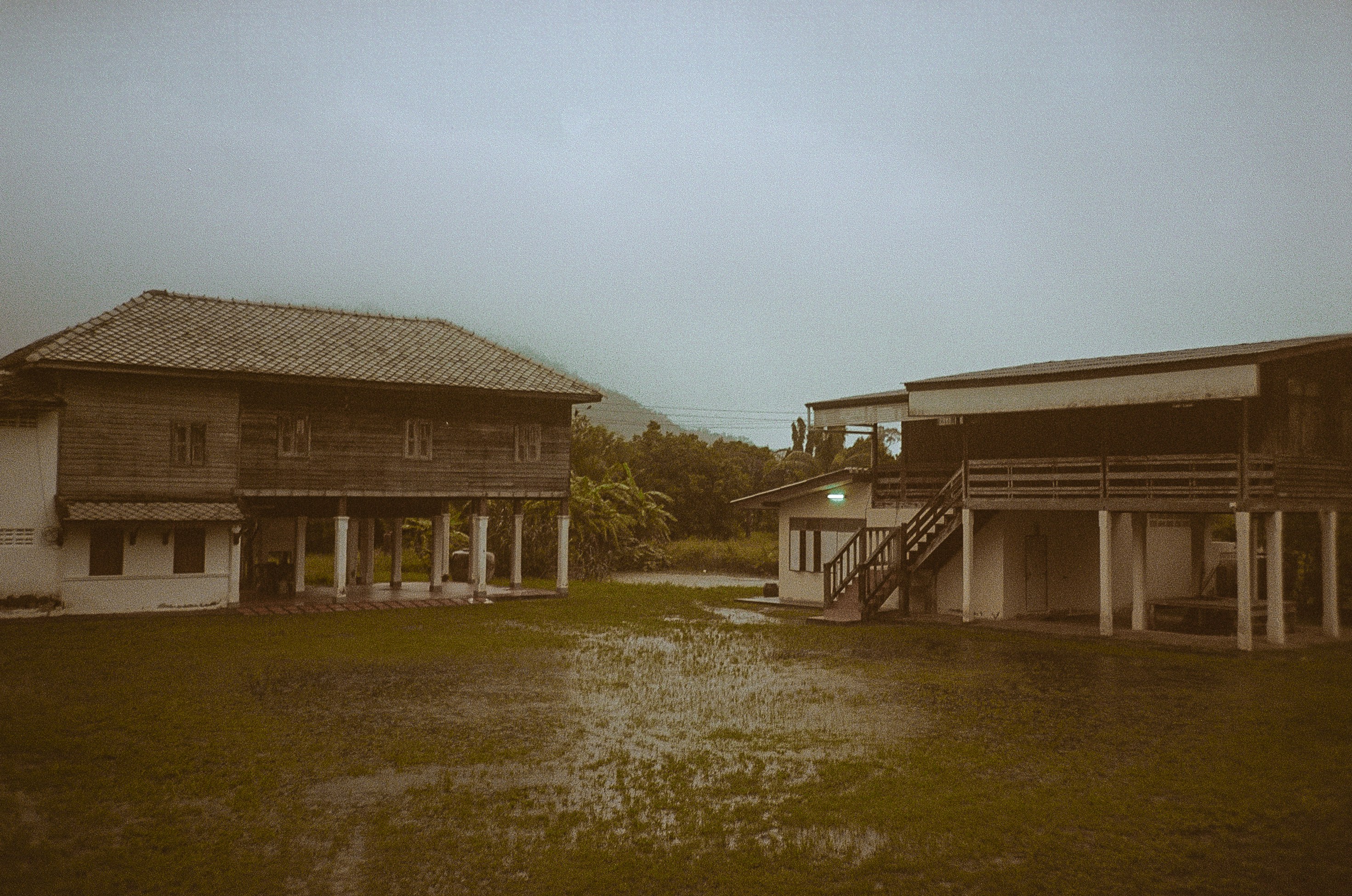 Sitka National Historical Park Pictures | Download Free Images on Unsplash