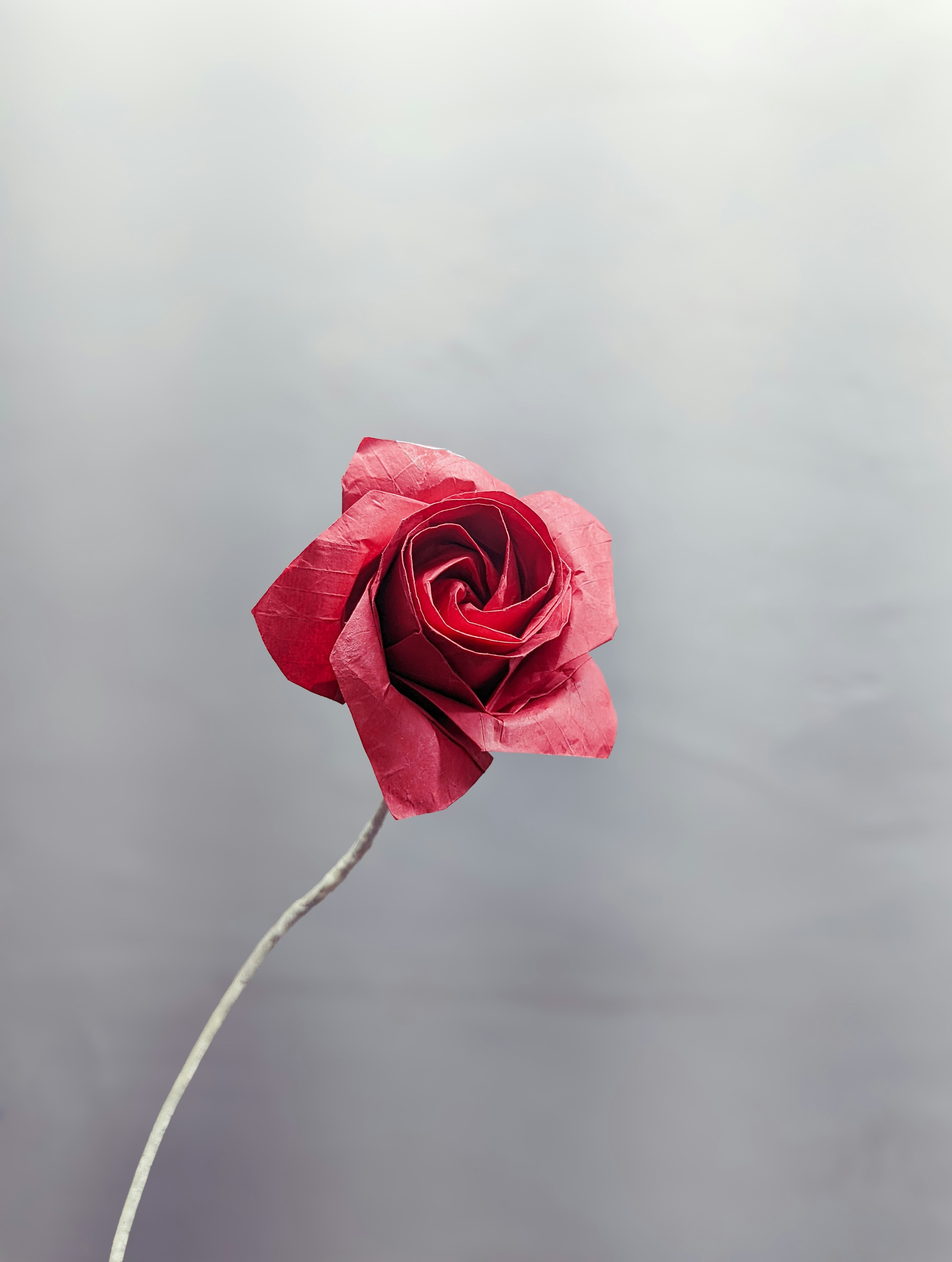 Photo by FOREVER'S KNIGHT with Nothing Phone 1