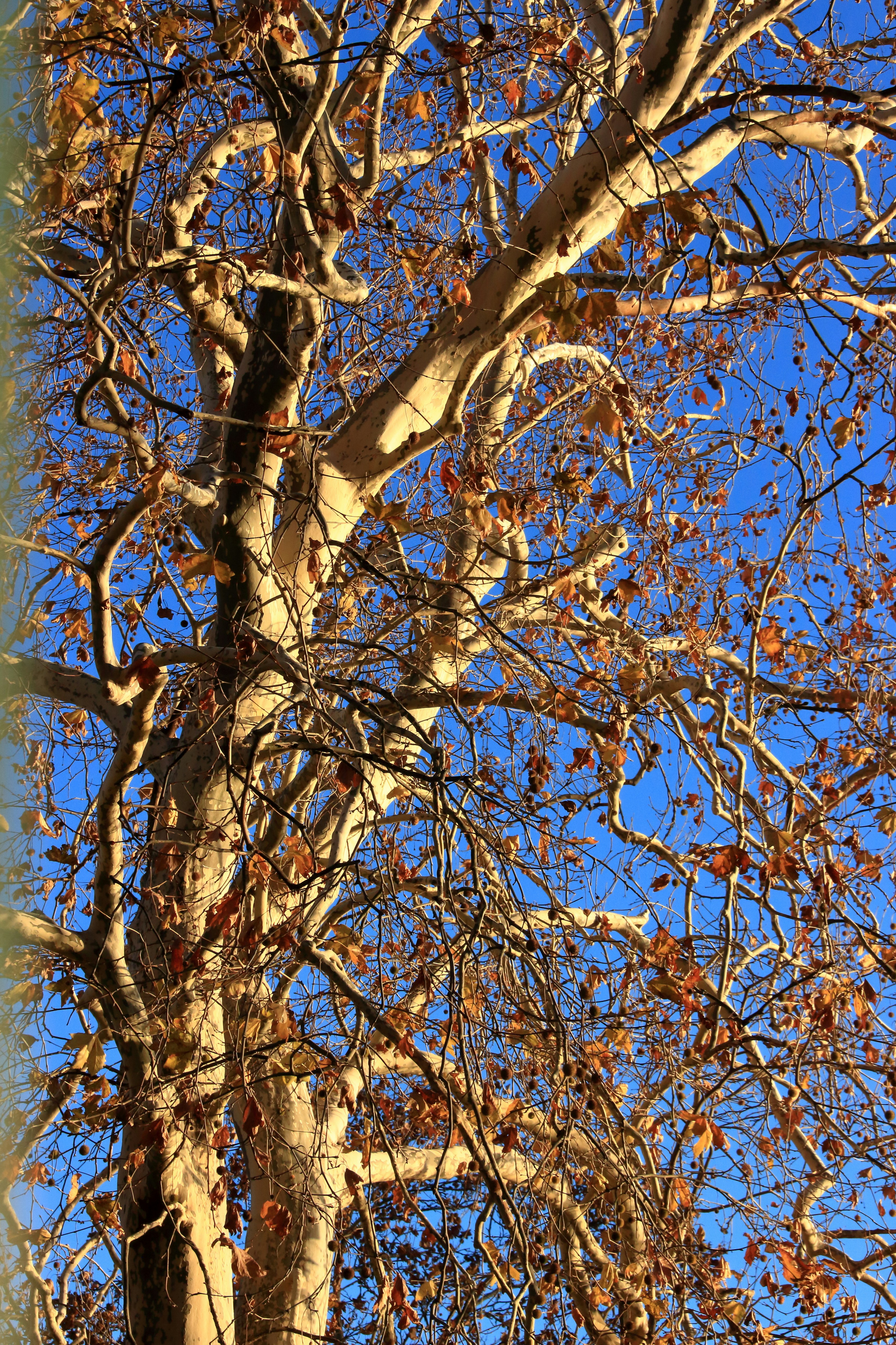 Photo by Timi Gaier with Canon EOS 650D