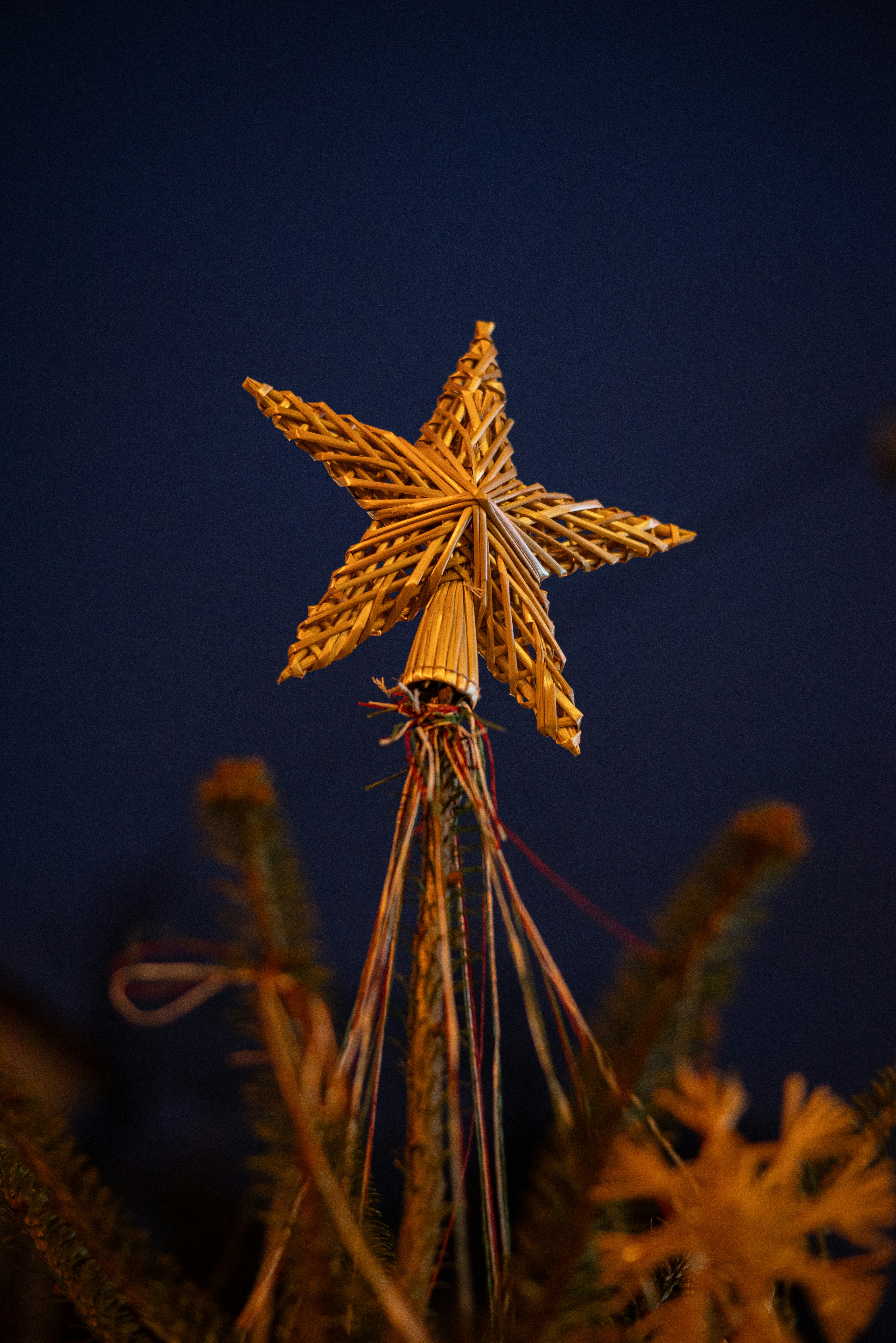 Photo by Lia Den with Nikon Z5