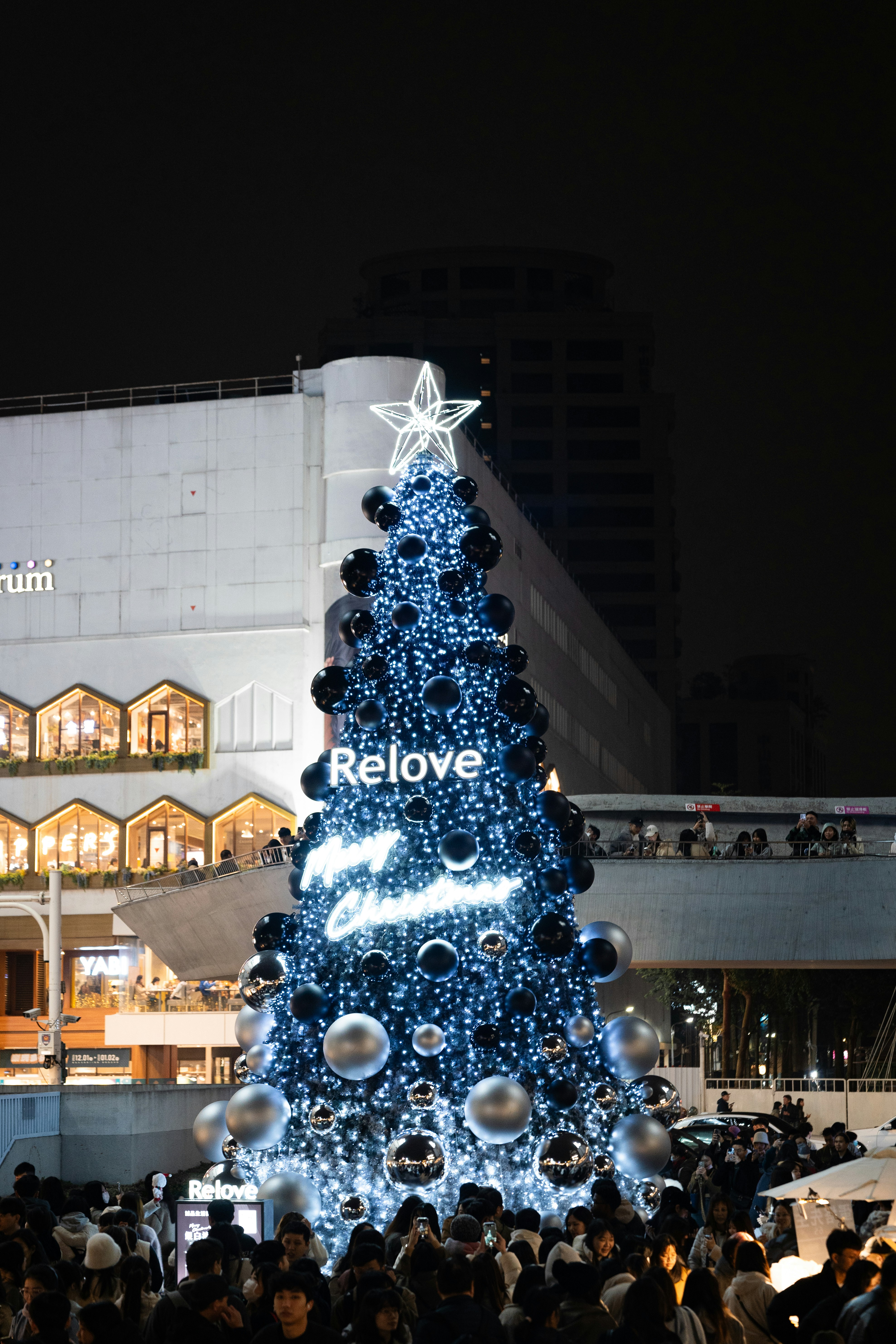 Blue Christmas: A luminous tree rising above a night-time plaza crowd