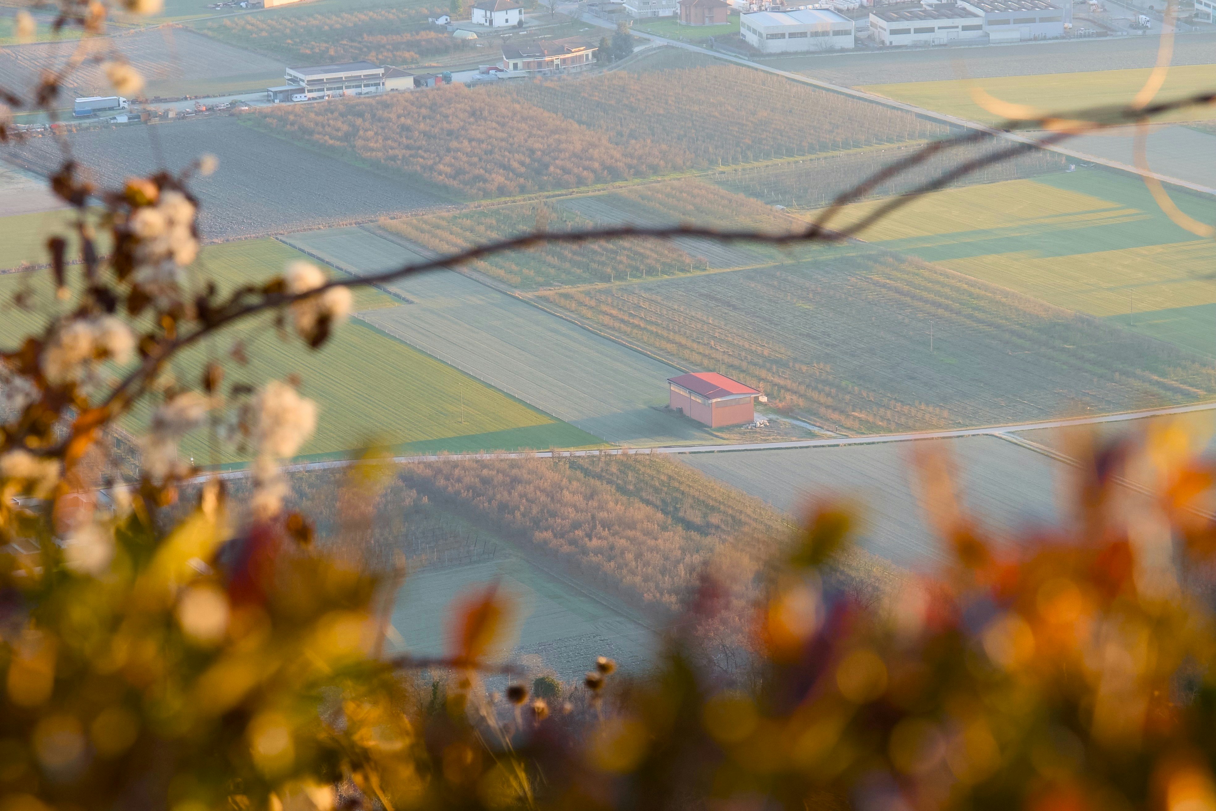 Photo by Francesco Tarini with Sony Alpha 7 III