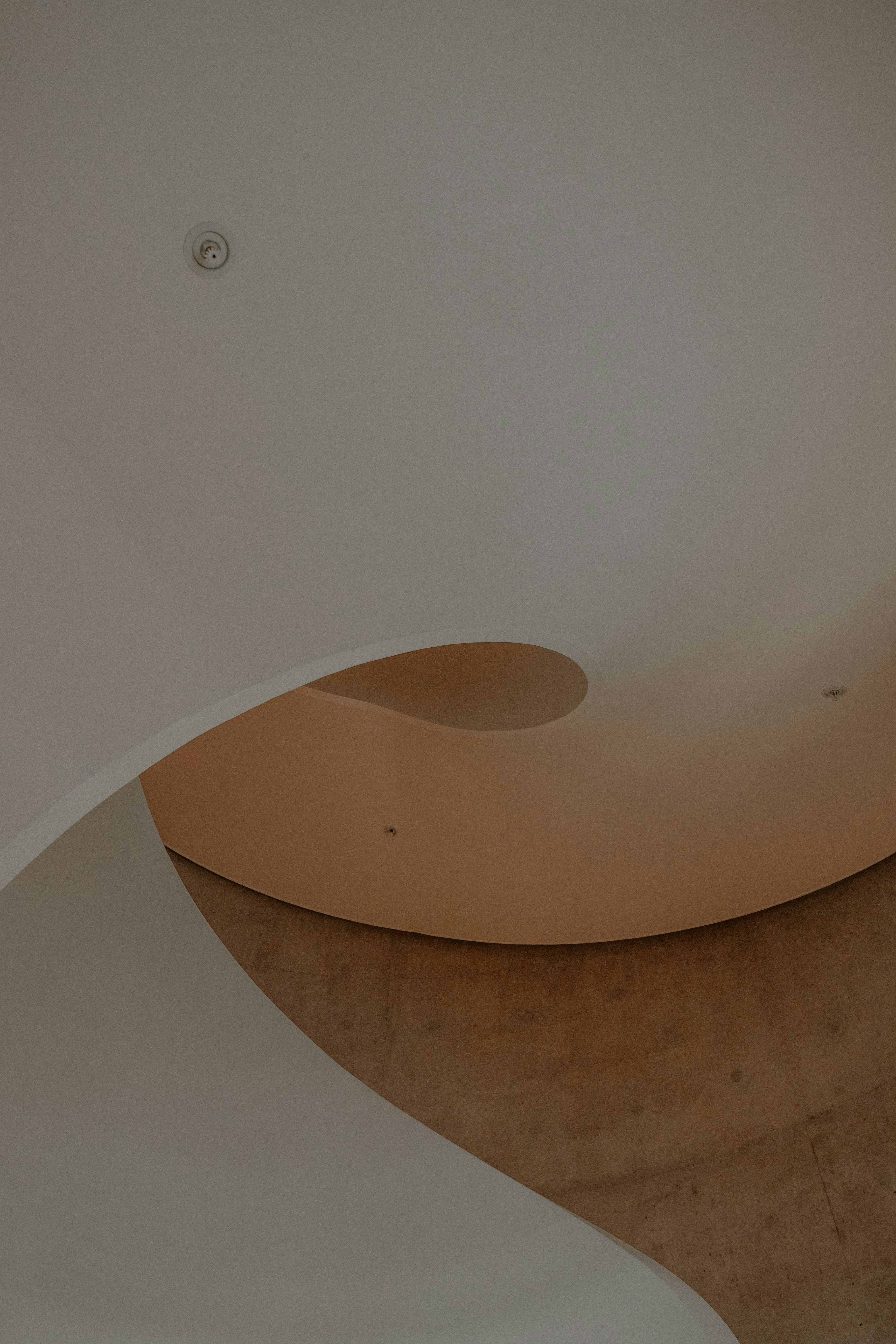 Photo by Susan Q Yin with Olympus OM-D E-M1 Mark II