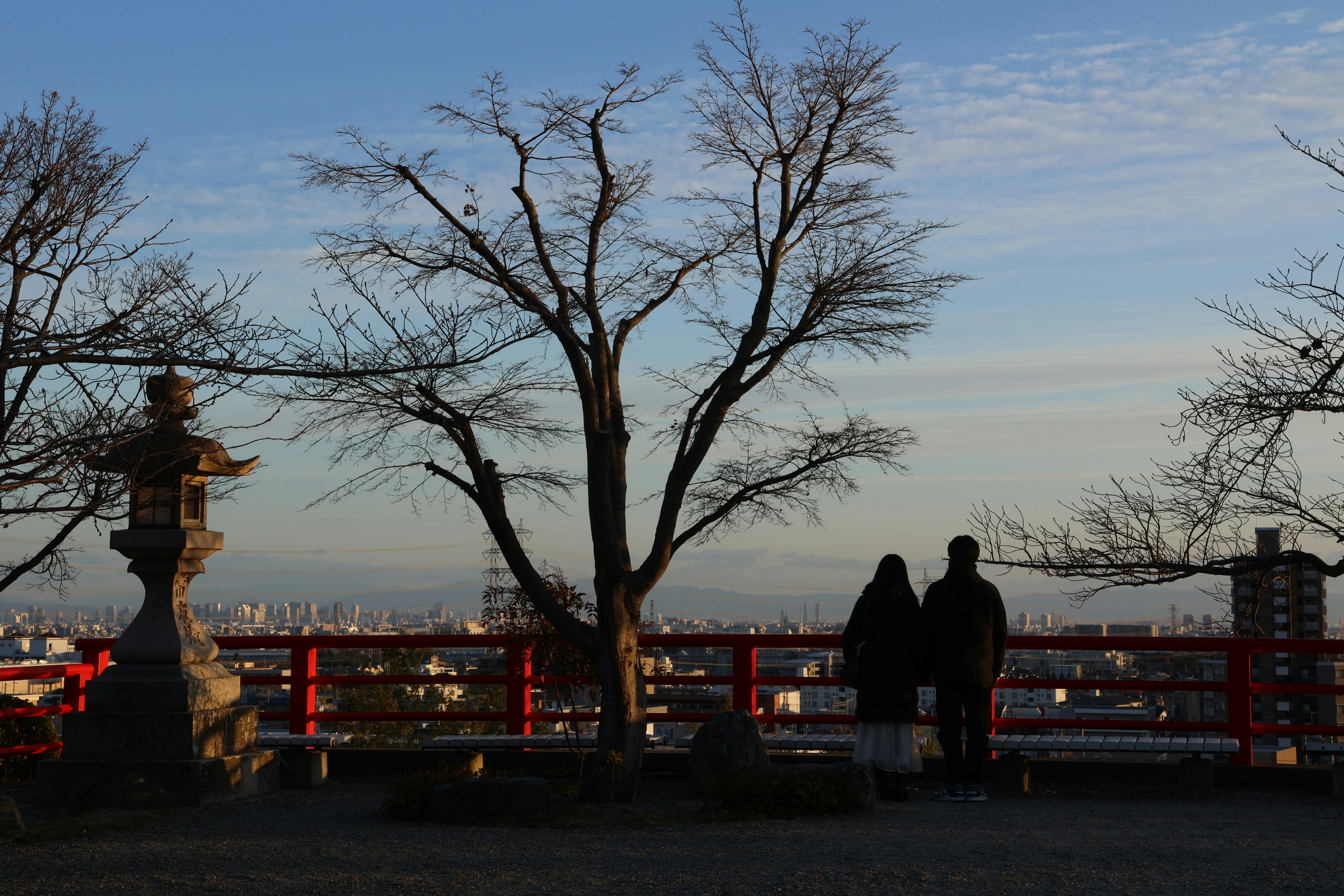 Two Shadows Beneath a Bare Tree, Framed by a Crimson Railing Overlooking a Distant City