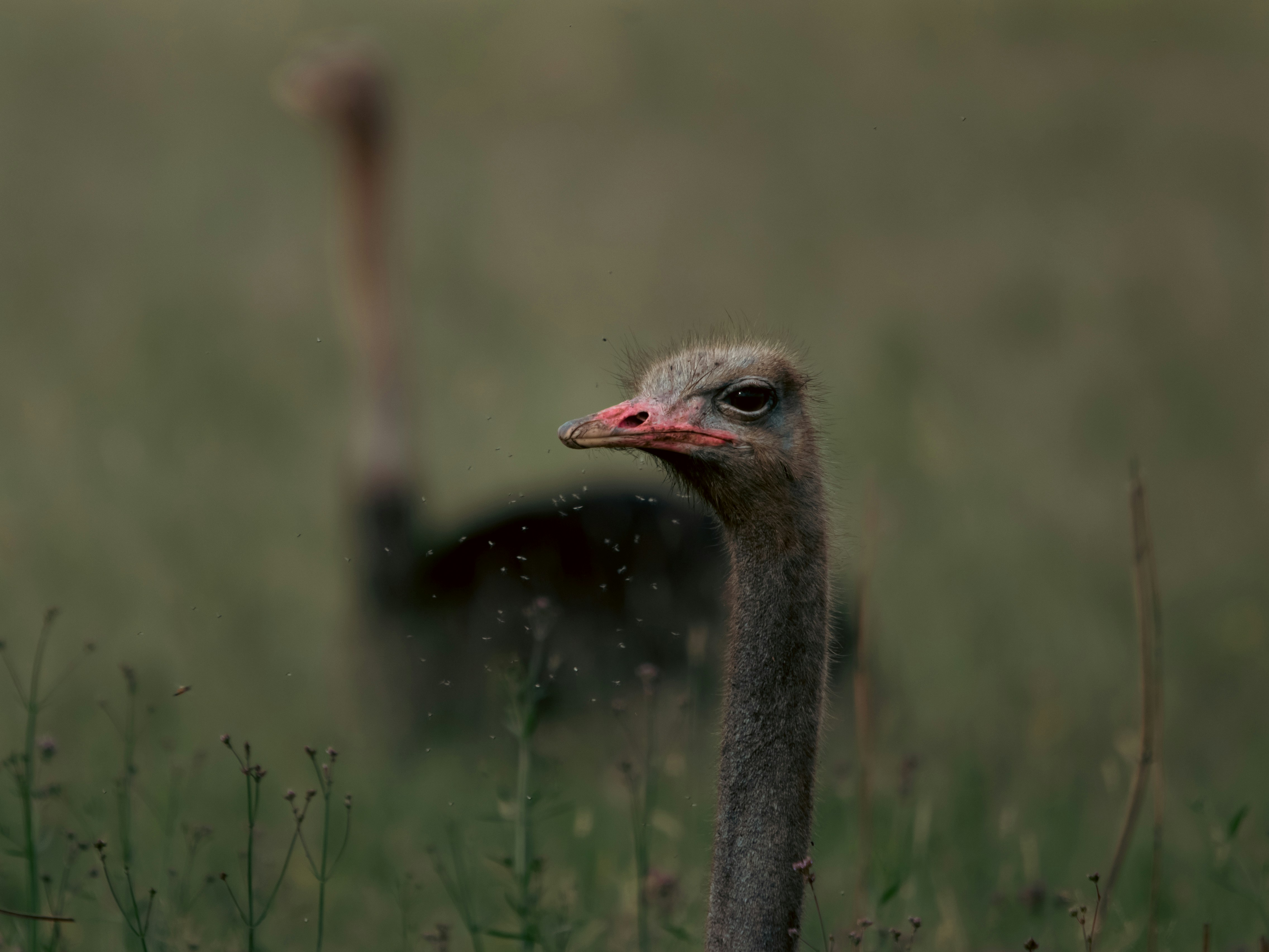 Stevi Indianna (@stevivdb) | Komunitas Foto Unsplash