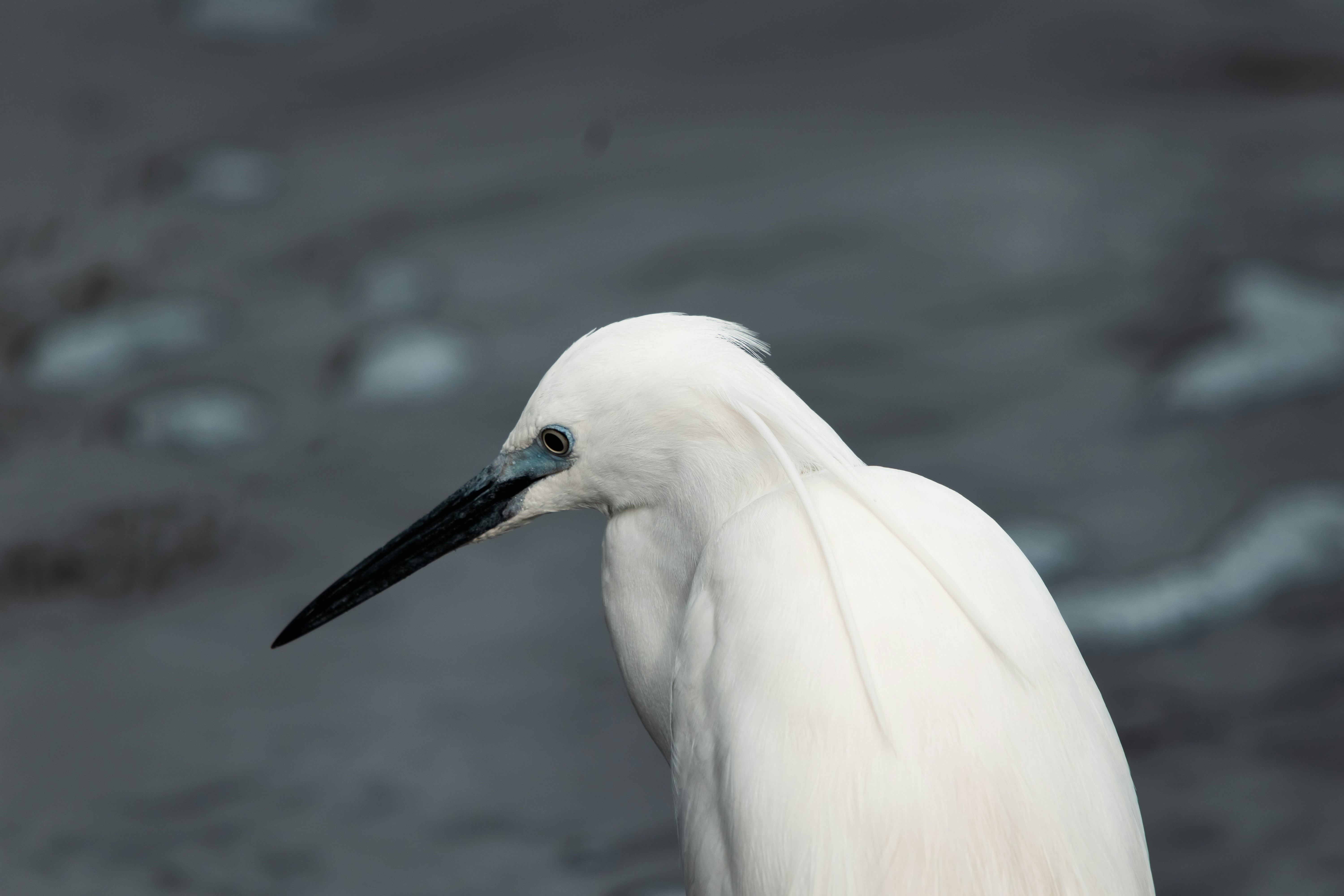 Stevi Indianna (@stevivdb) | Komunitas Foto Unsplash