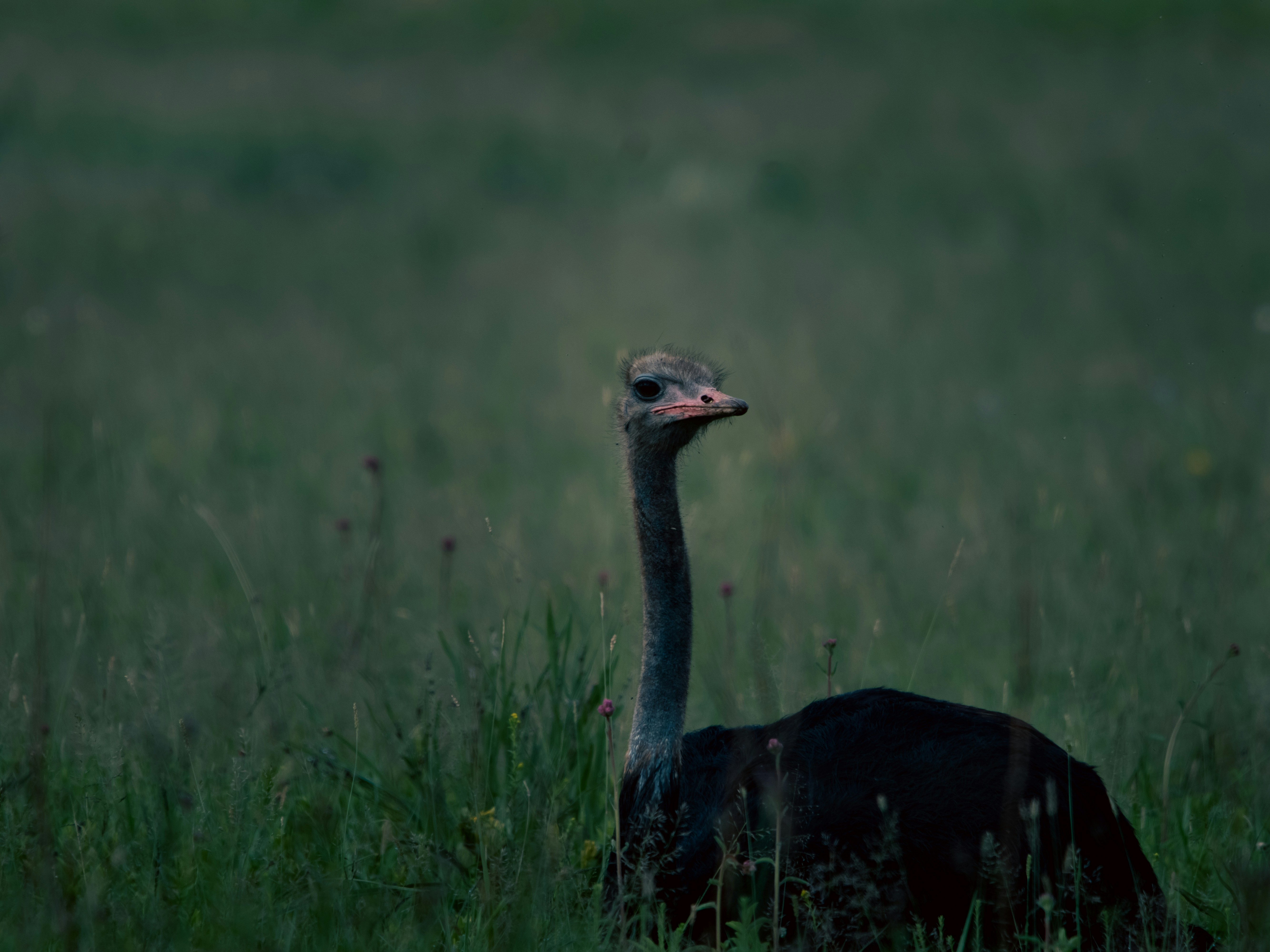 Stevi Indianna (@stevivdb) | Komunitas Foto Unsplash