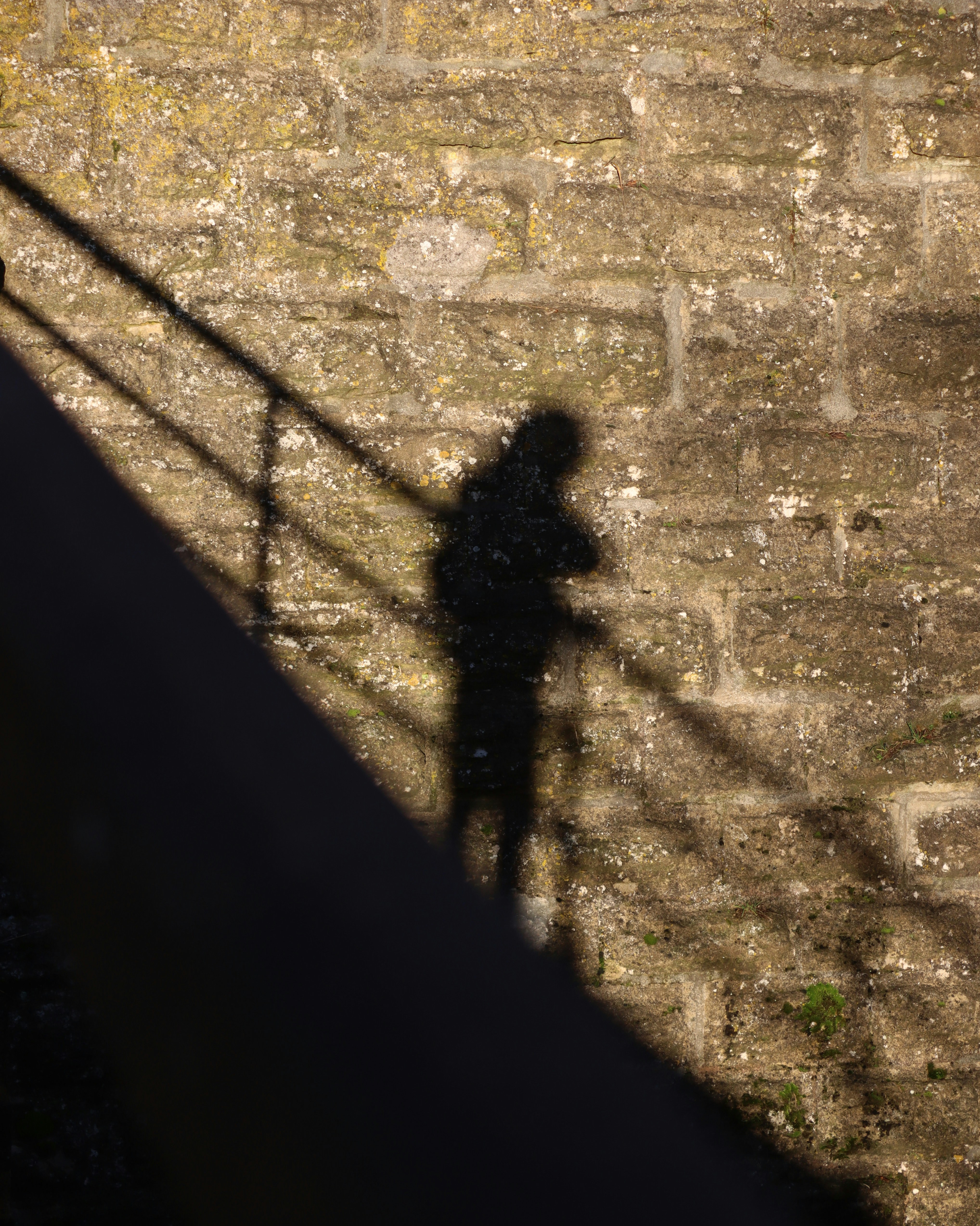 Shadowing Pictures | Download Free Images on Unsplash