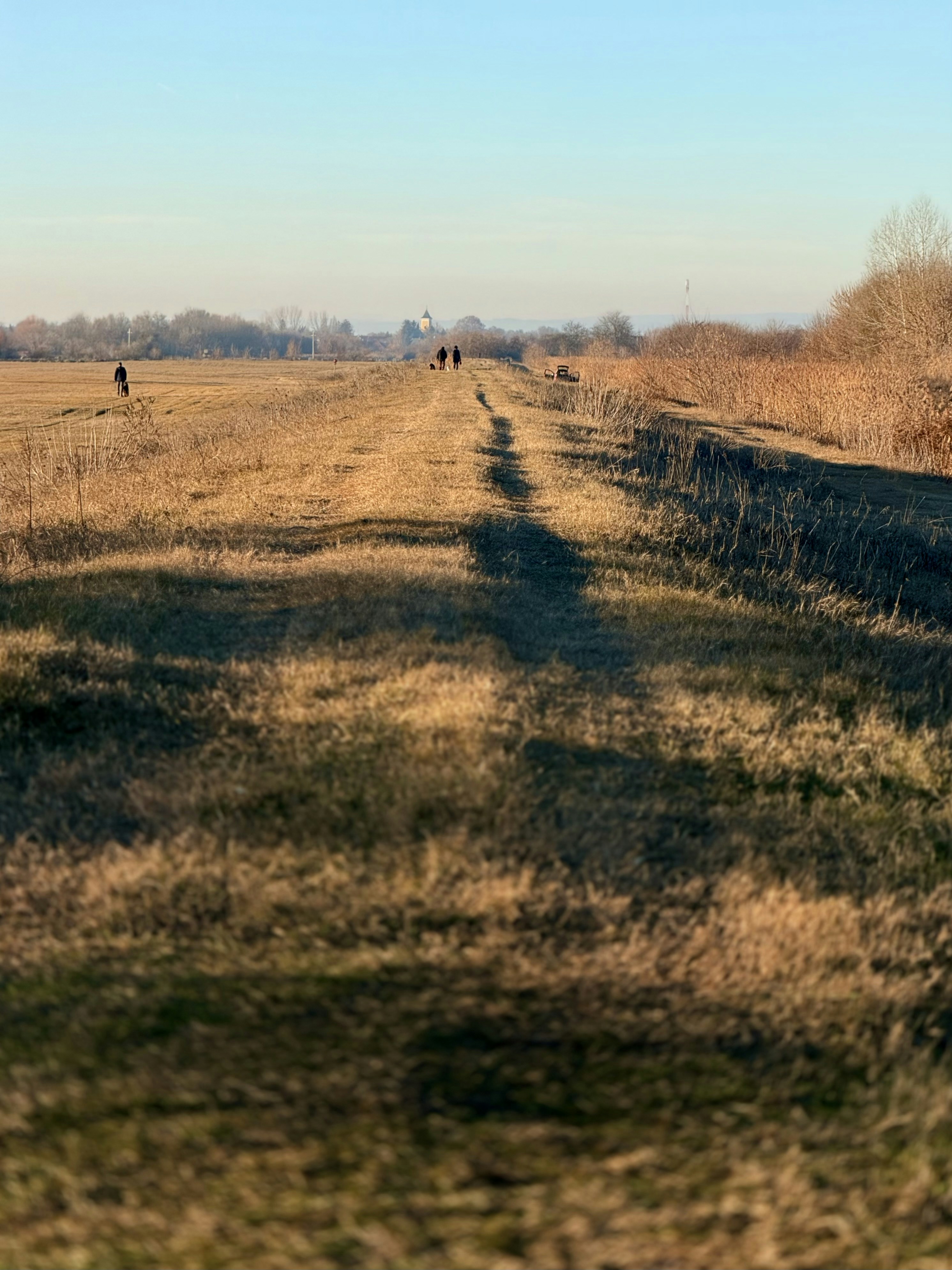 Photo by Mihály Köles with Apple iPhone 16 Pro