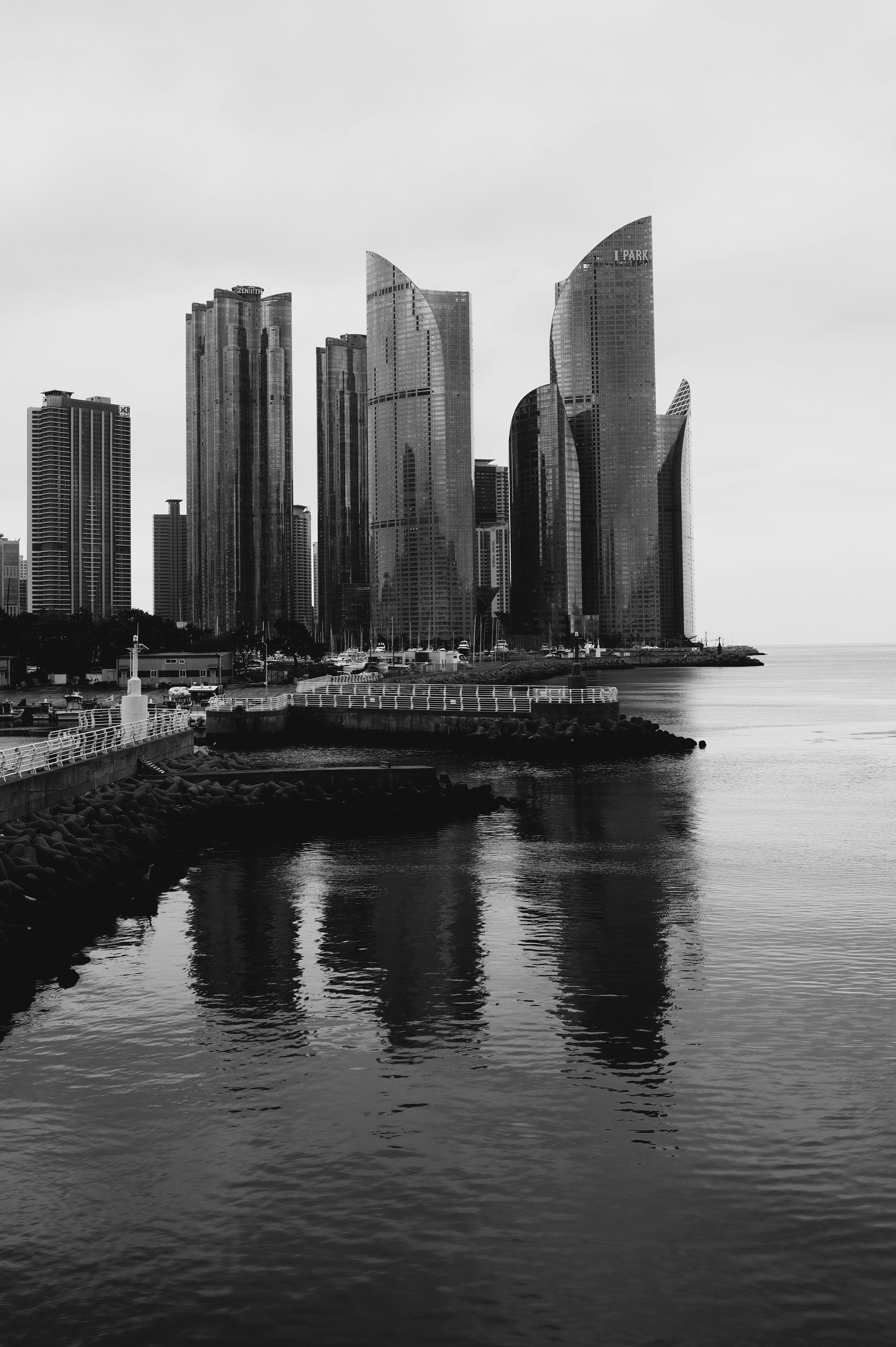 Monochrome Giants at the Harbor: A Quiet Waterfront Skyline
