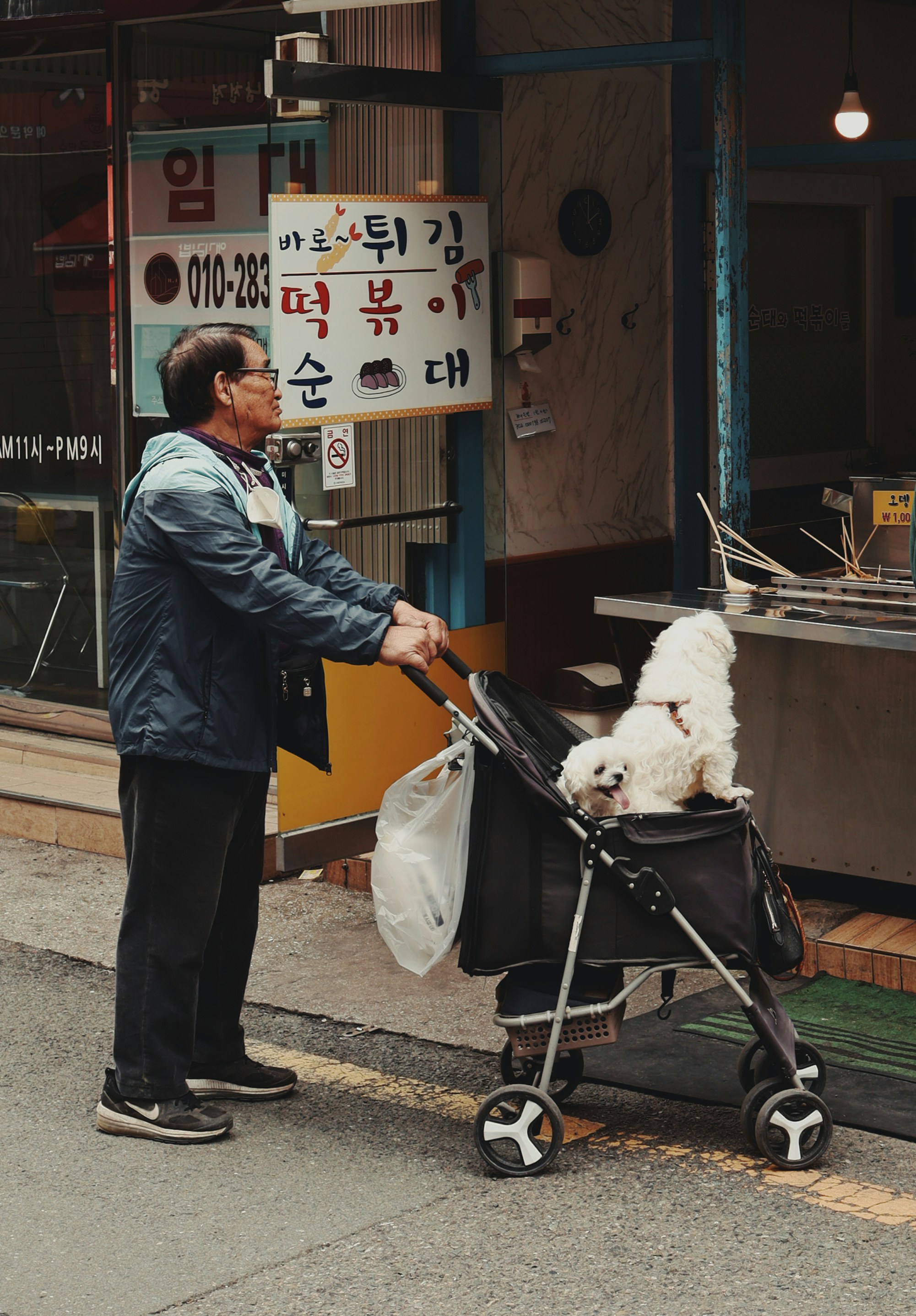 A man pushing a stroller with a dog in it photo – Free Street ...