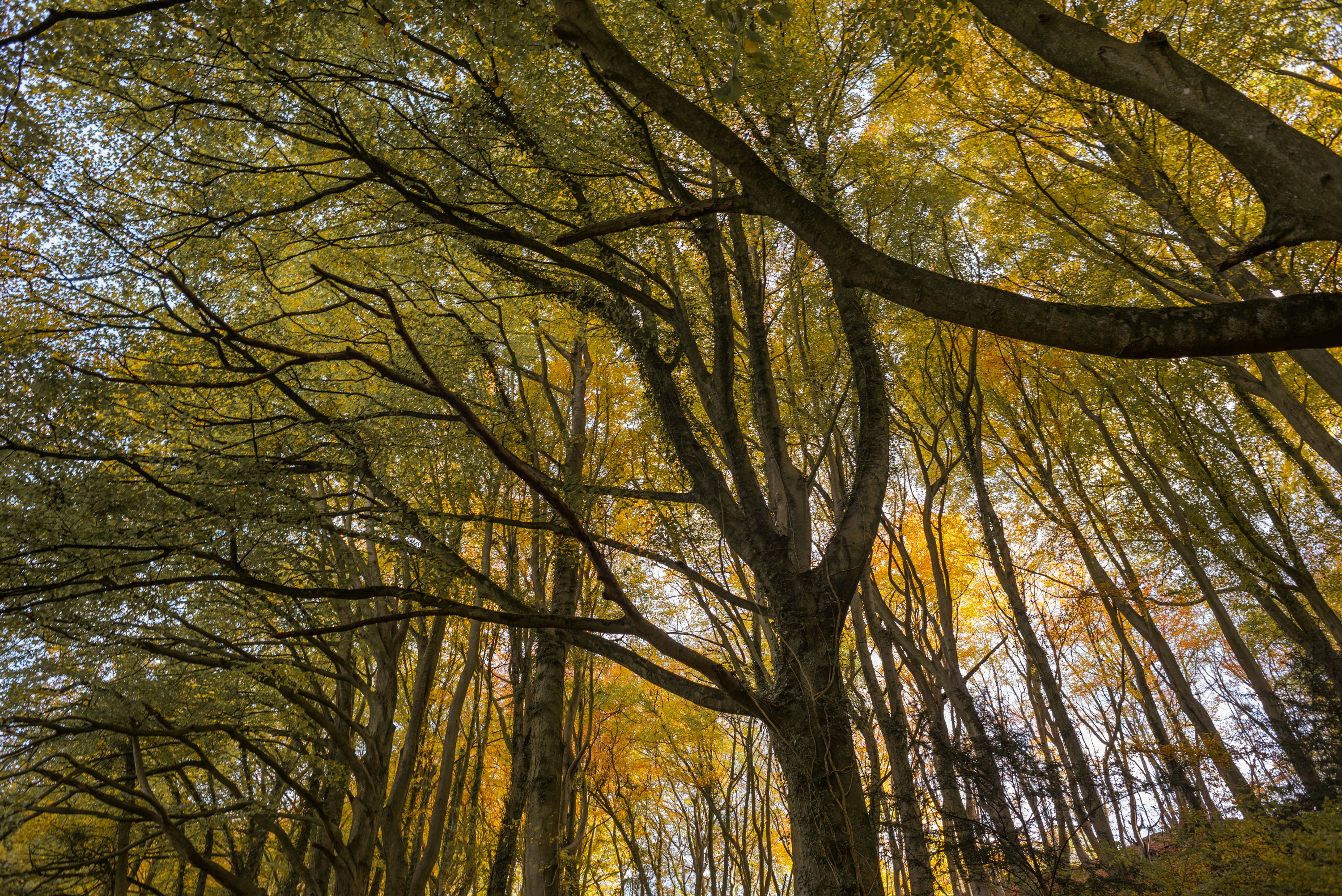 Photo by Lily Amateur with Nikon D750