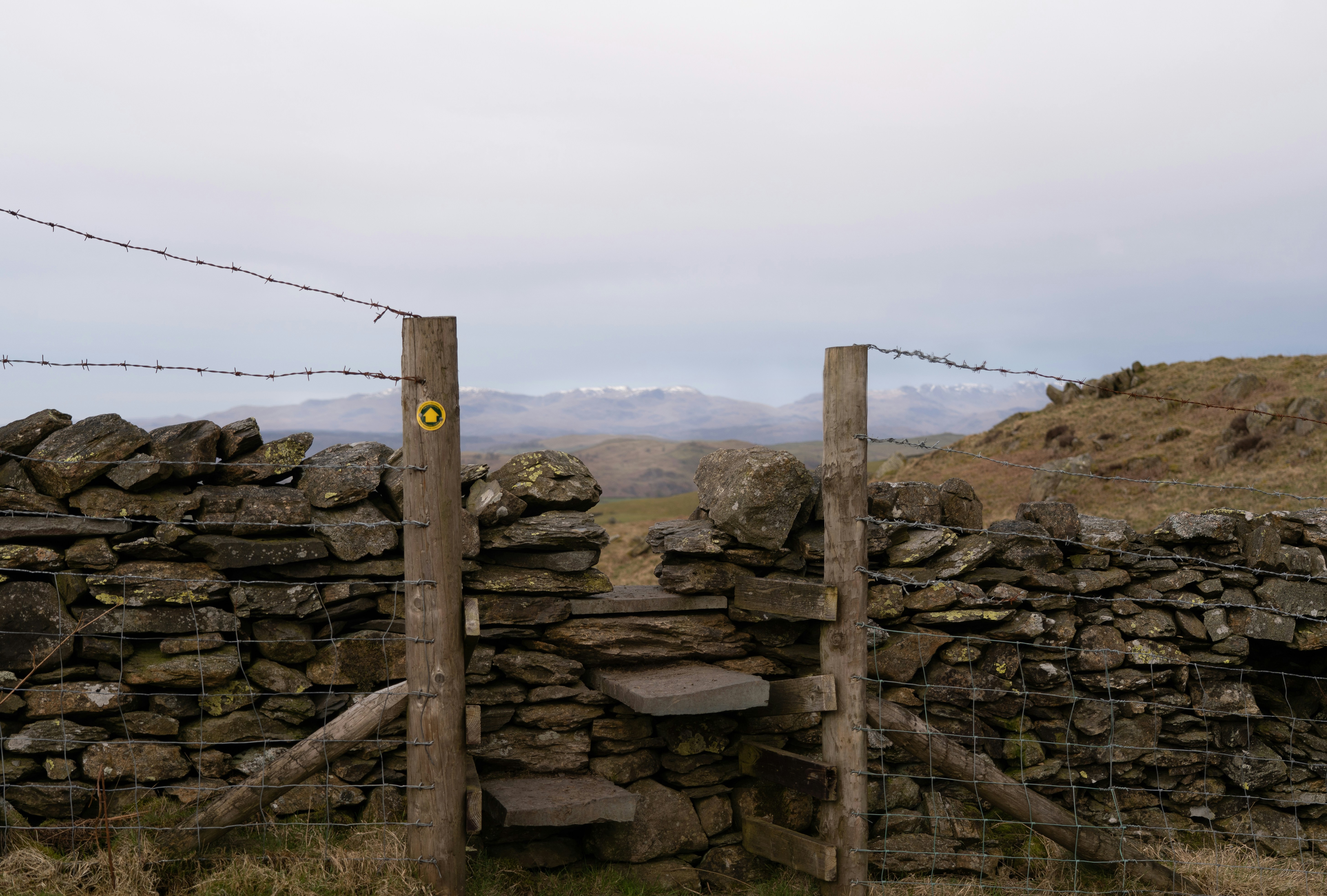 Gateposts and Stone Wall: A Quiet Moorland Vista Under Clouded Sky