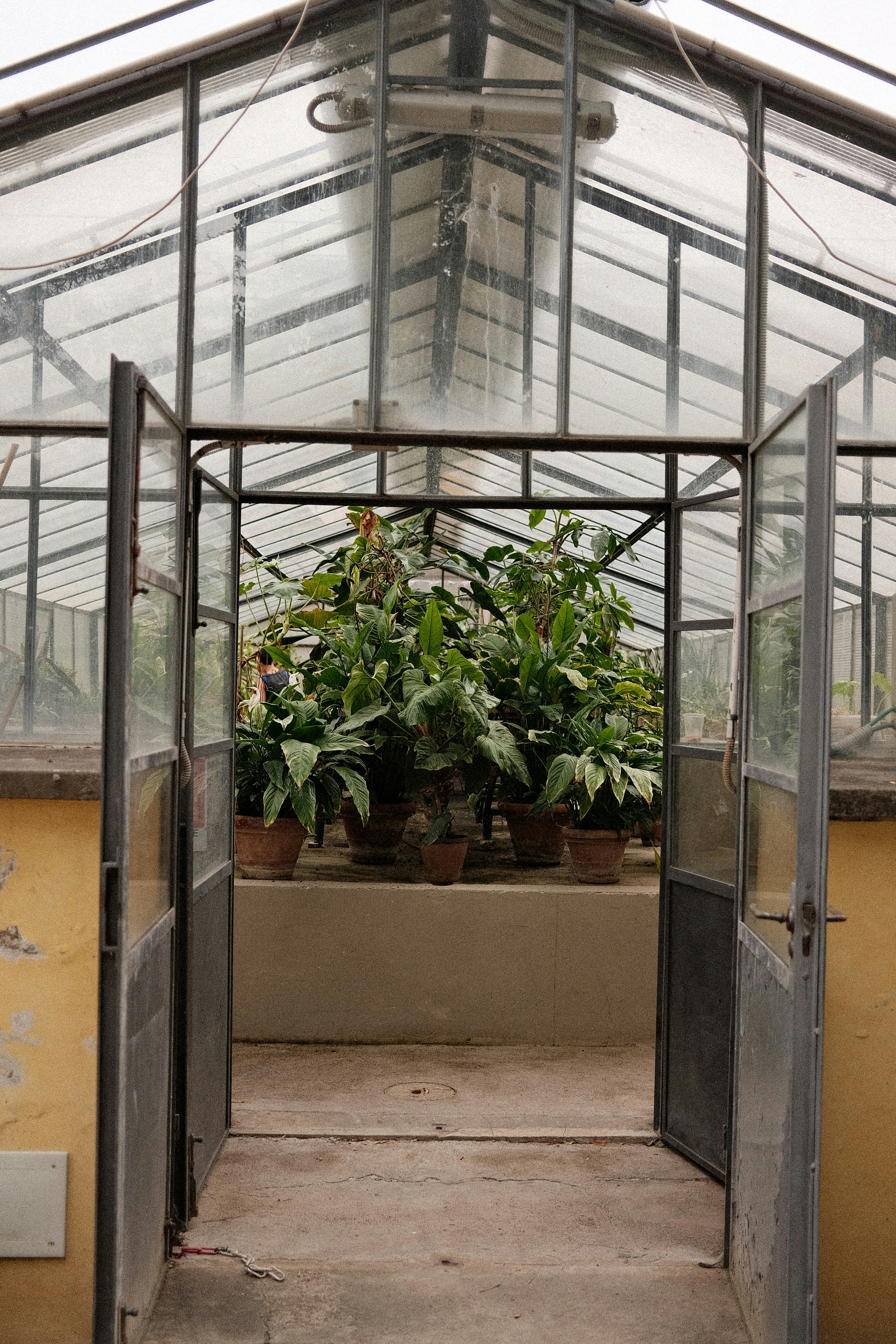 Photo by Valentin Lacoste with Fujifilm X100V