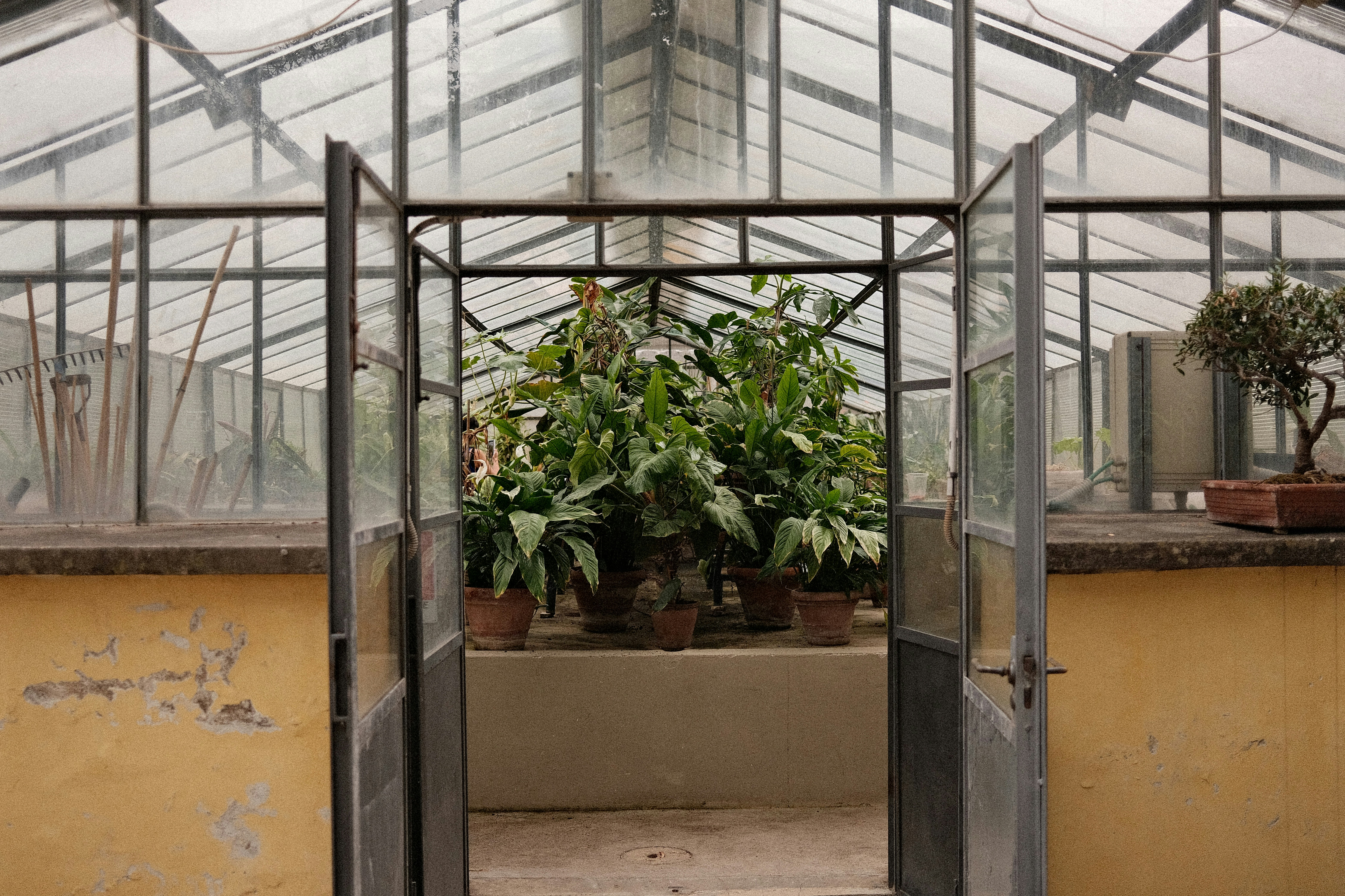 Photo by Valentin Lacoste with Fujifilm X100V