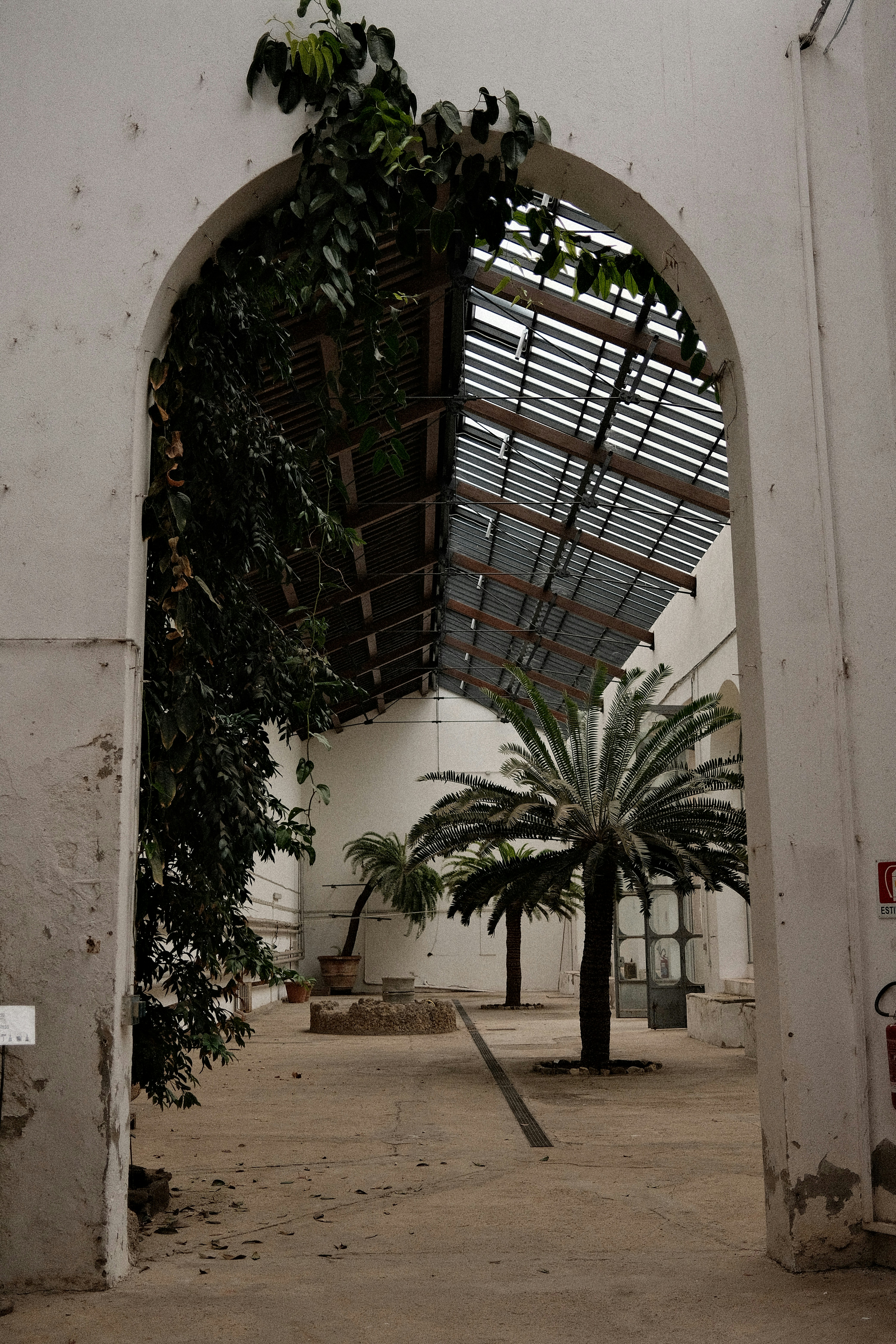 Photo by Valentin Lacoste with Fujifilm X100V