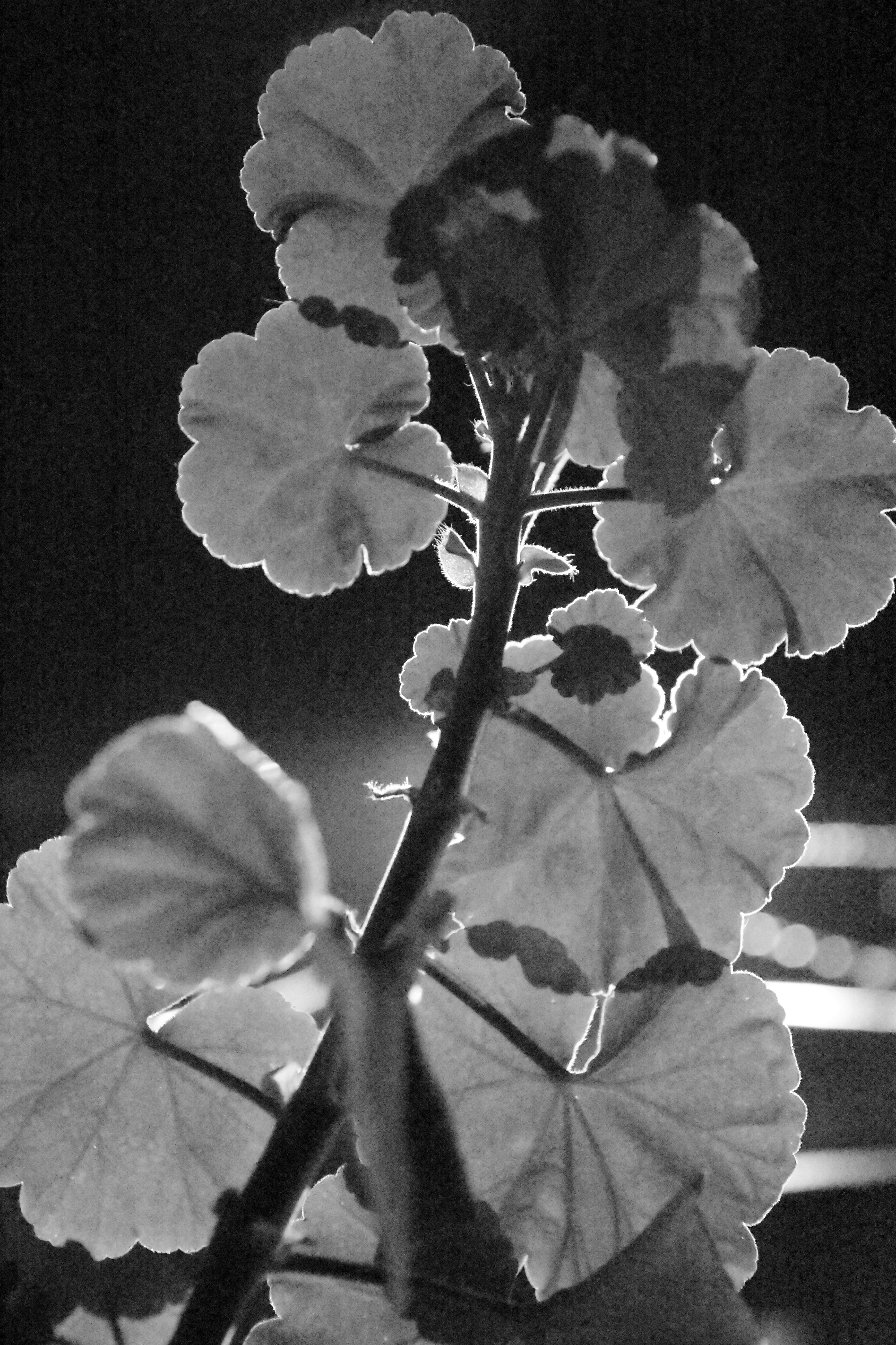 Photo by Thiago Ferreira with Nikon D7200