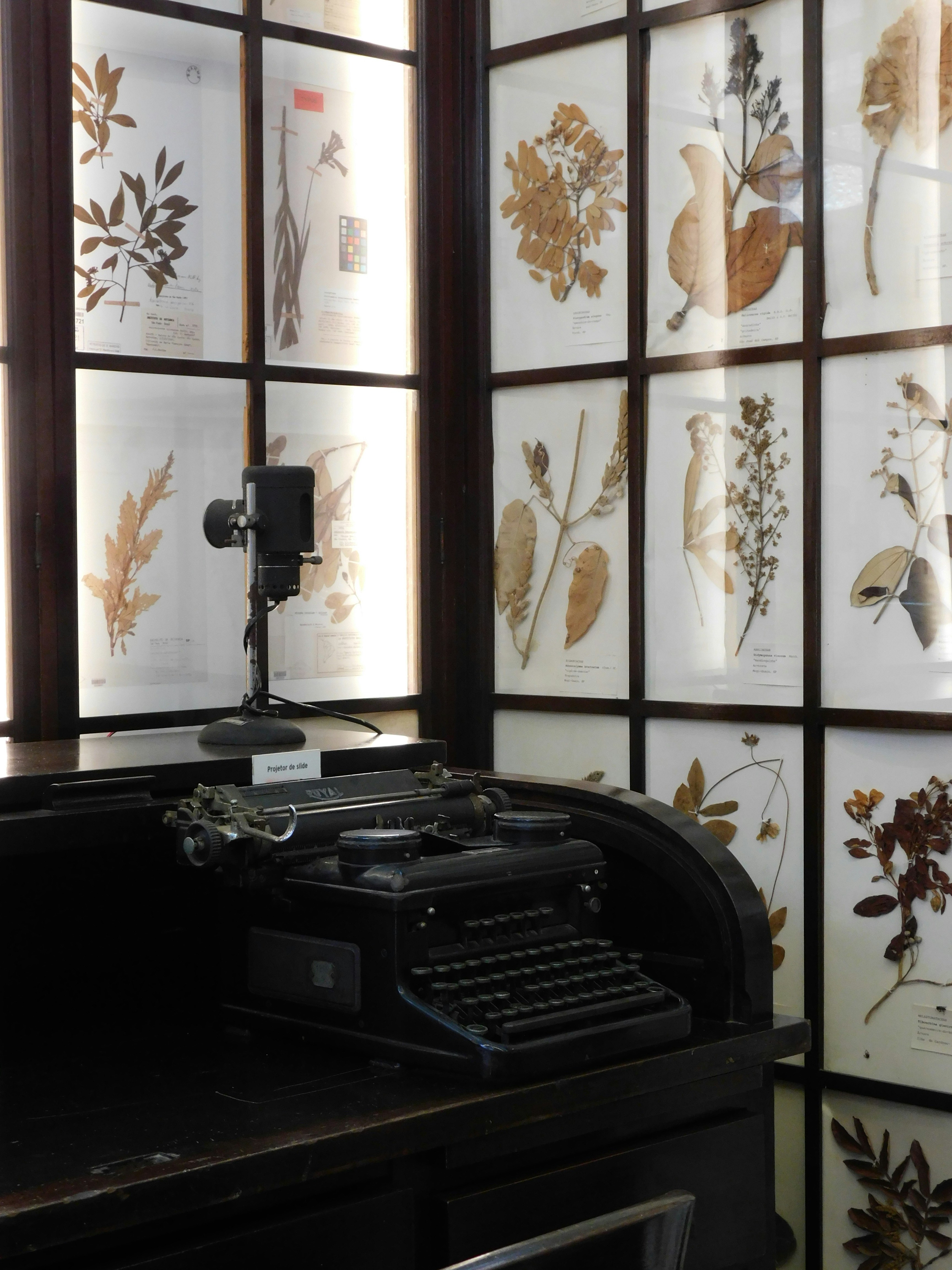 An old typewriter sitting in front of a window photo – Free Jardim ...