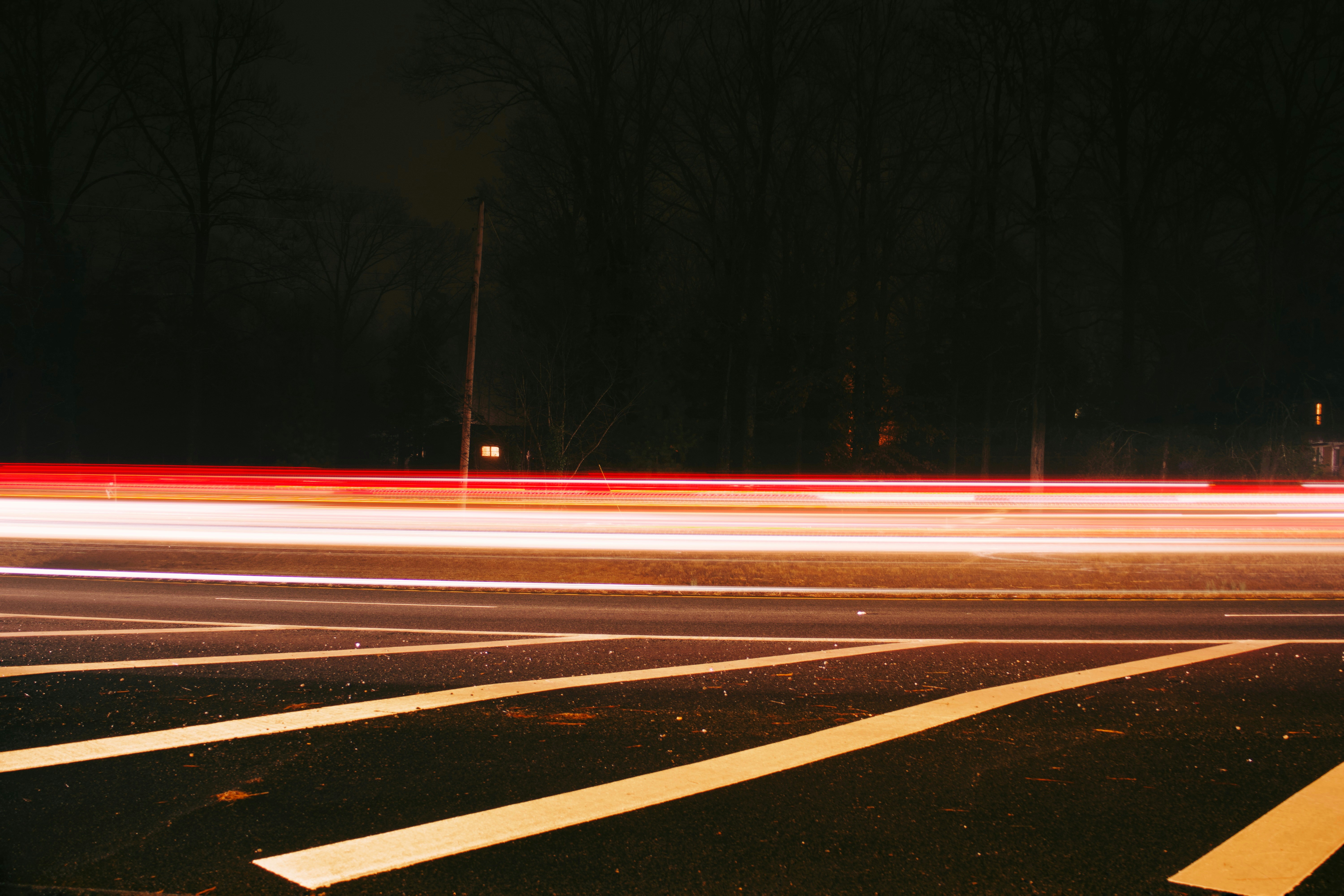 Photo by Miles Smith with Canon EOS R100