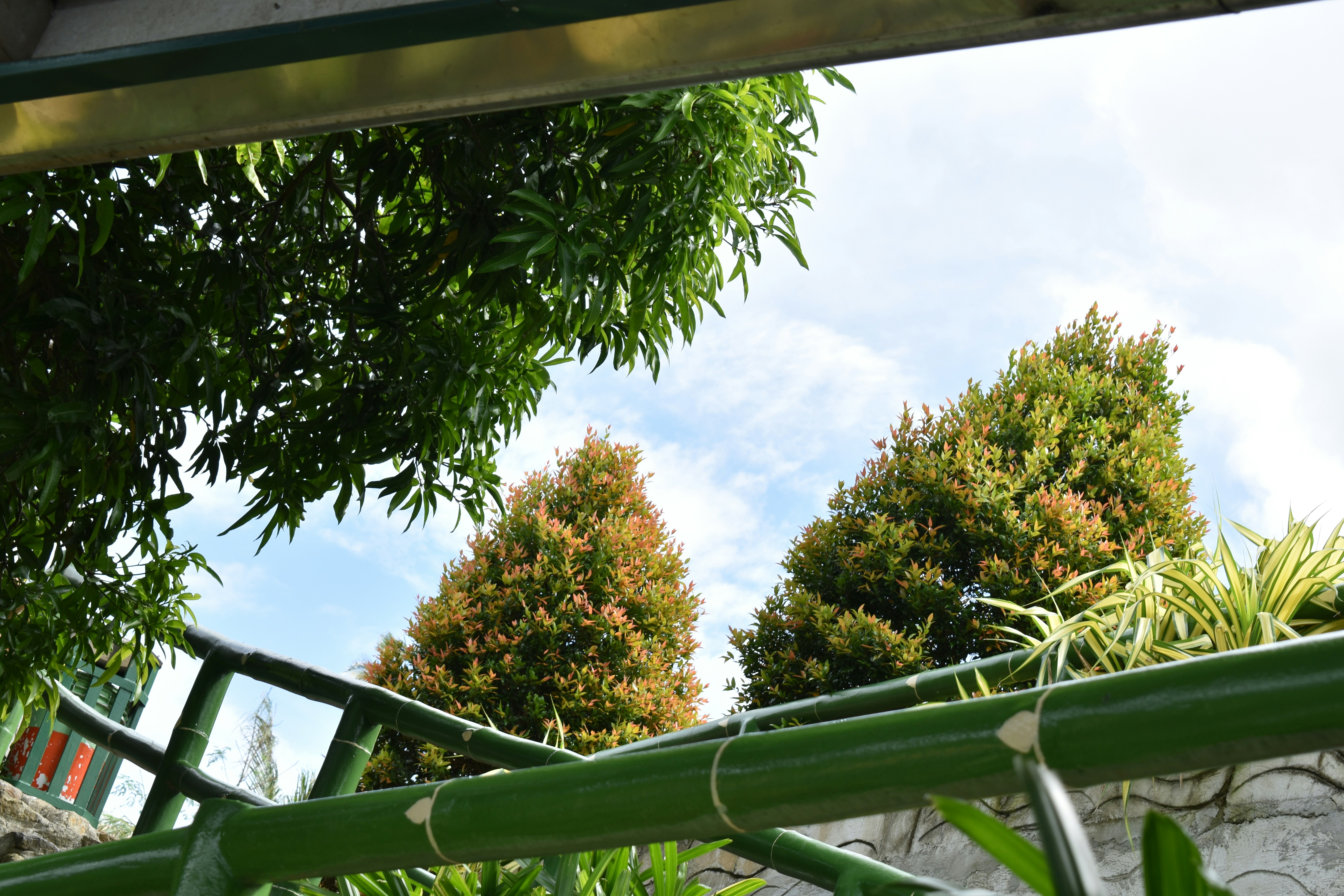 A green metal railing with trees in the background photo – Free Nature ...