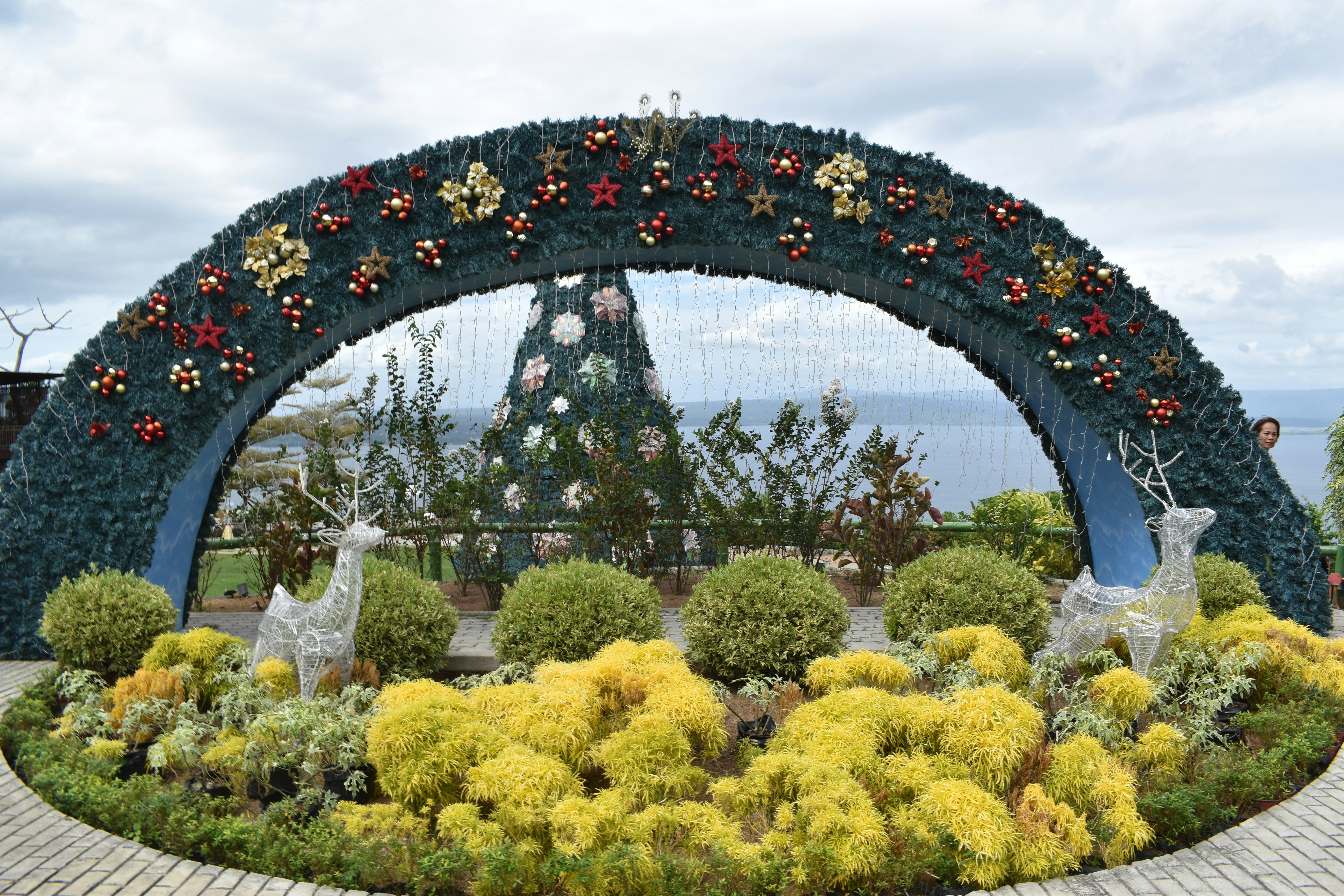 Circular Festive Arch Framing a Seaside Christmas Tree