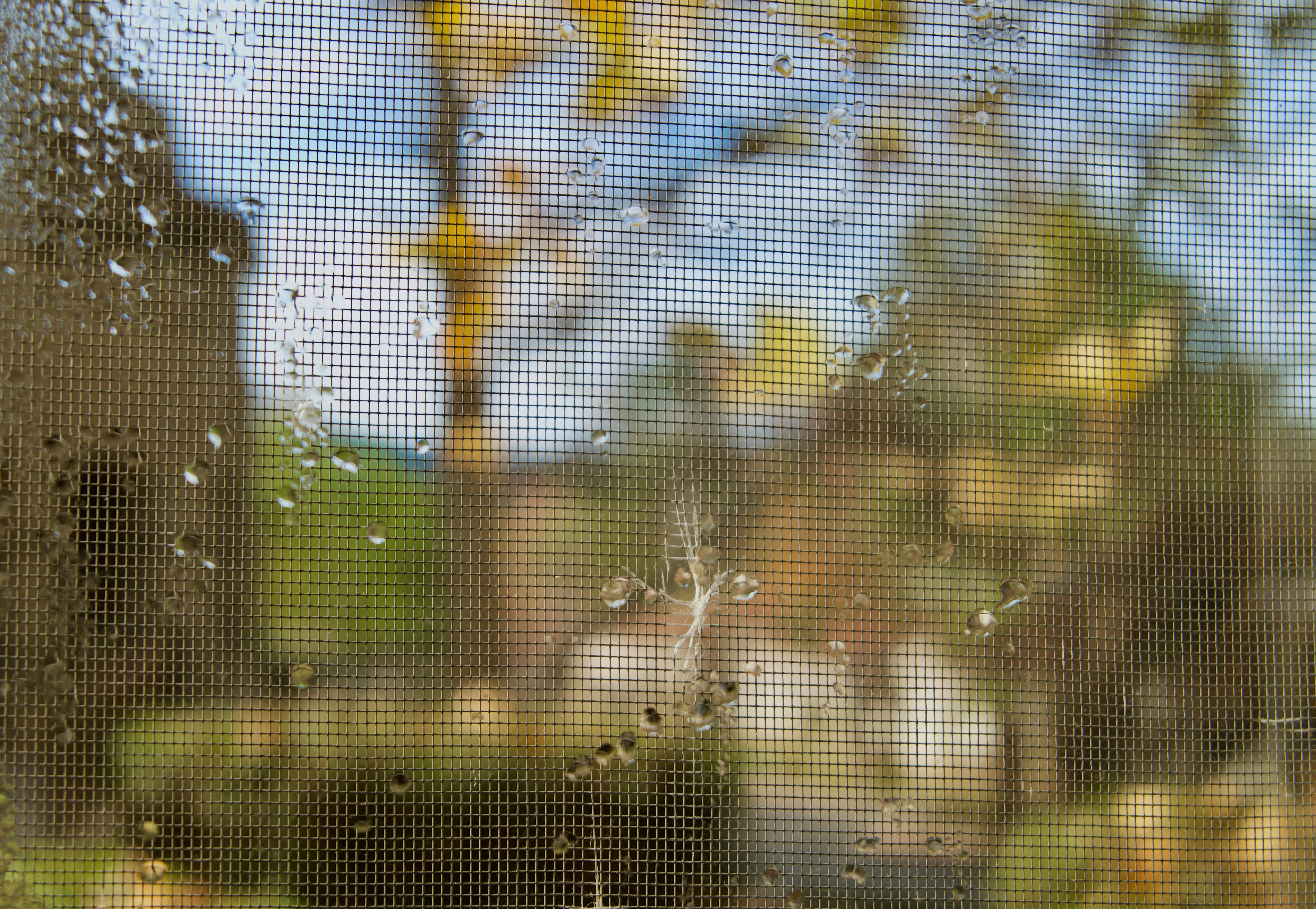 A view of a building through a window photo – Free Ventura Image on ...
