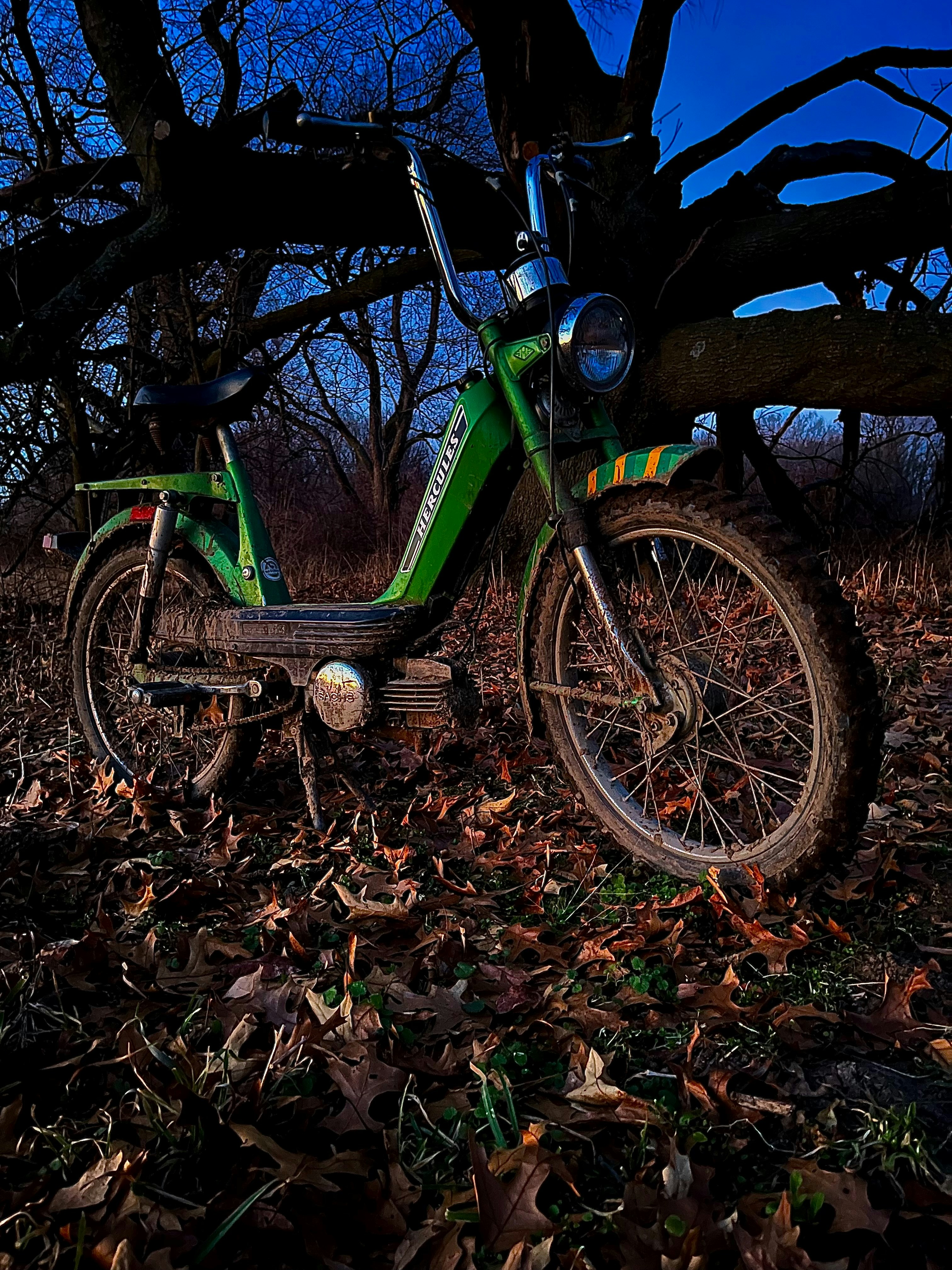 Green vintage moped under a bare tree at dusk