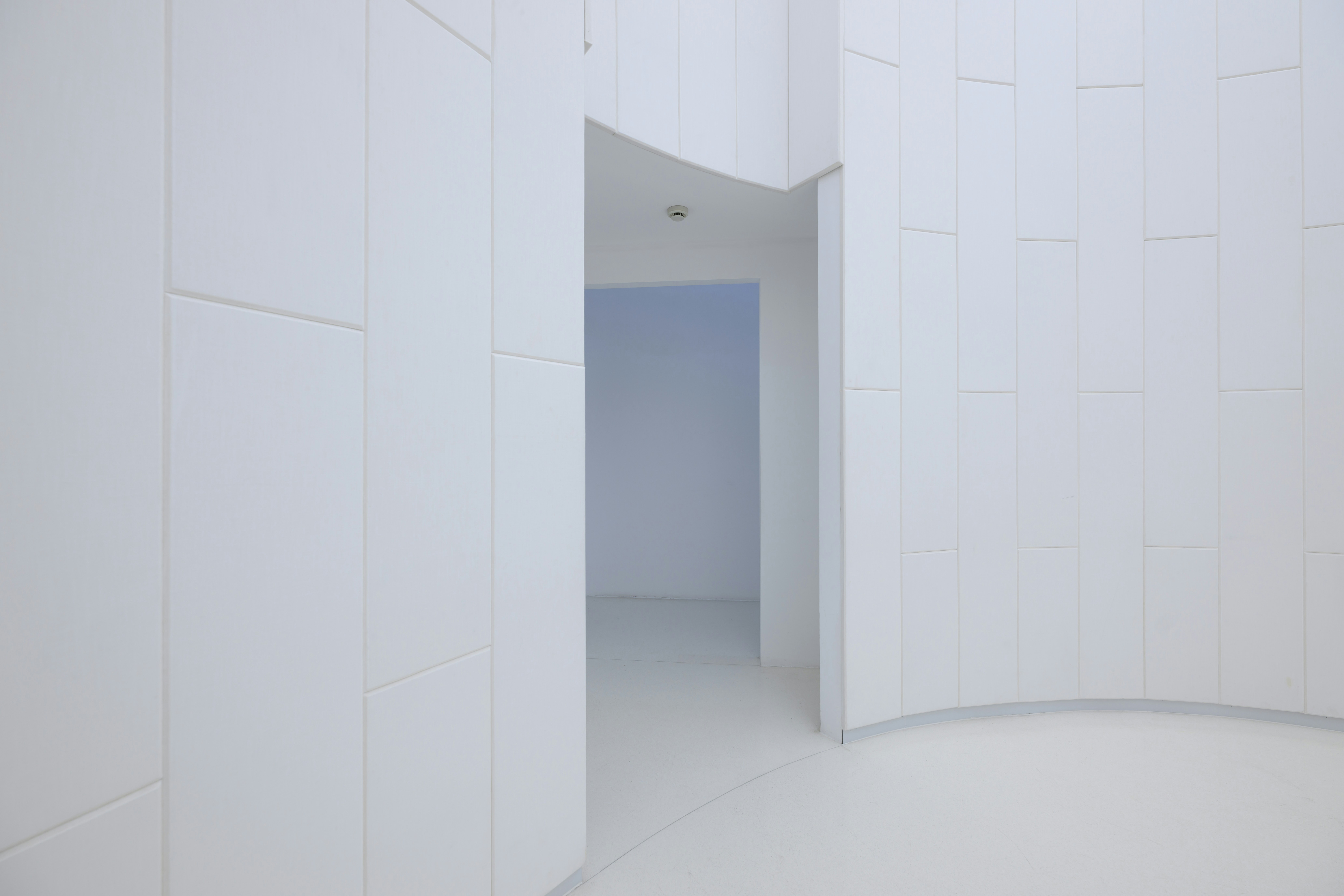 Photo by Declan Sun with Nikon Z8