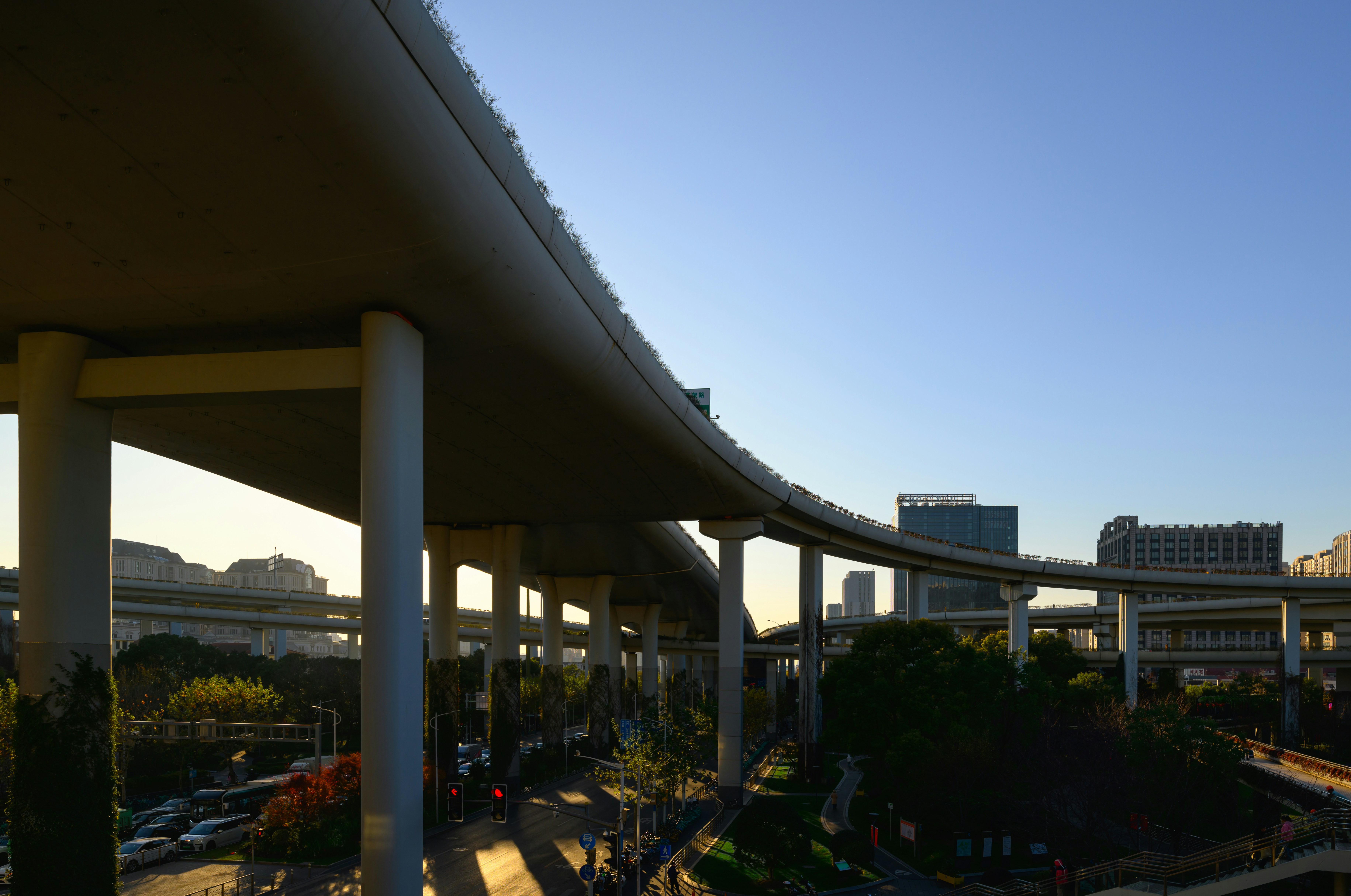 Curved Spine Over the City: Sunlit Elevation of Steel