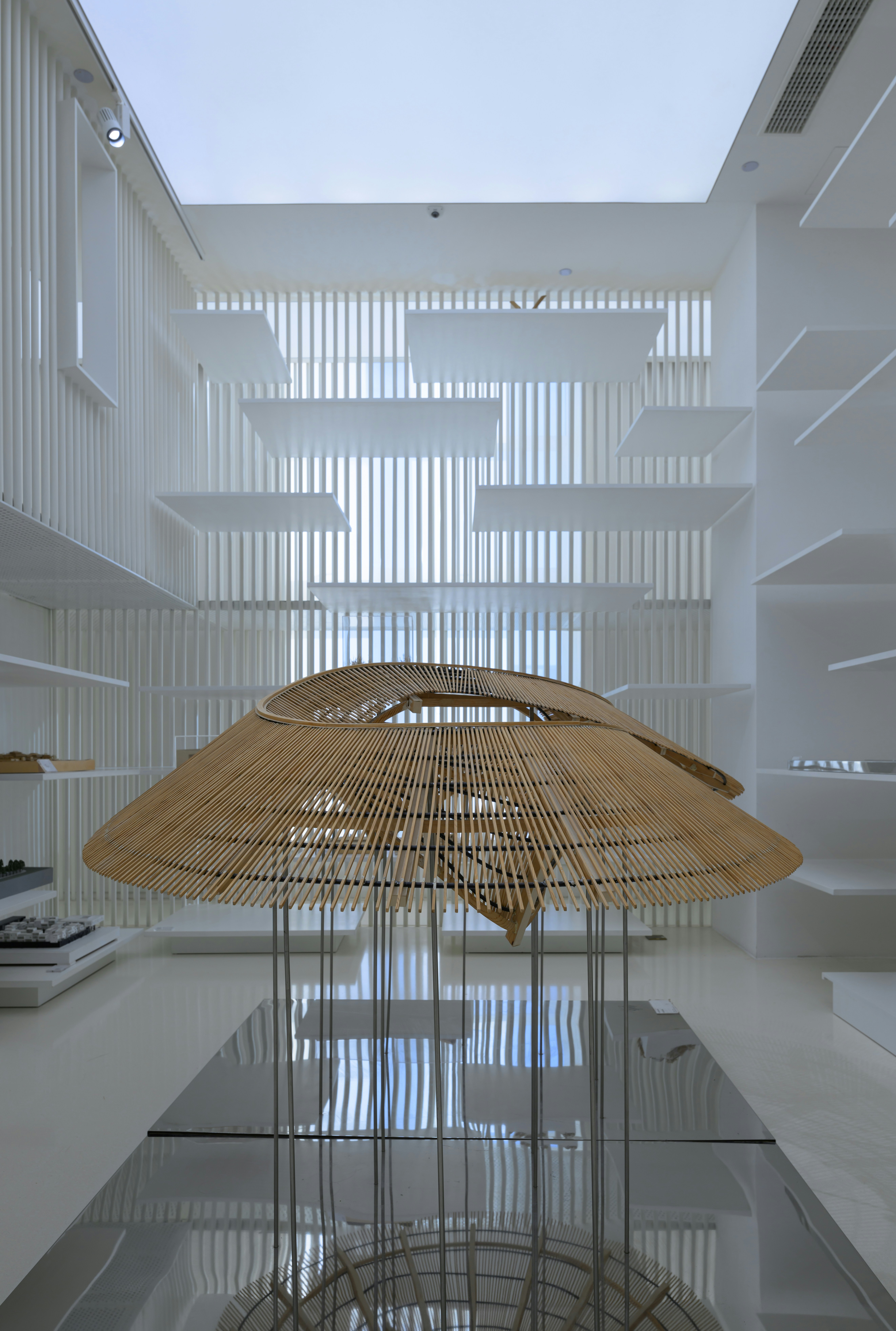 Photo by Declan Sun with Nikon Z8