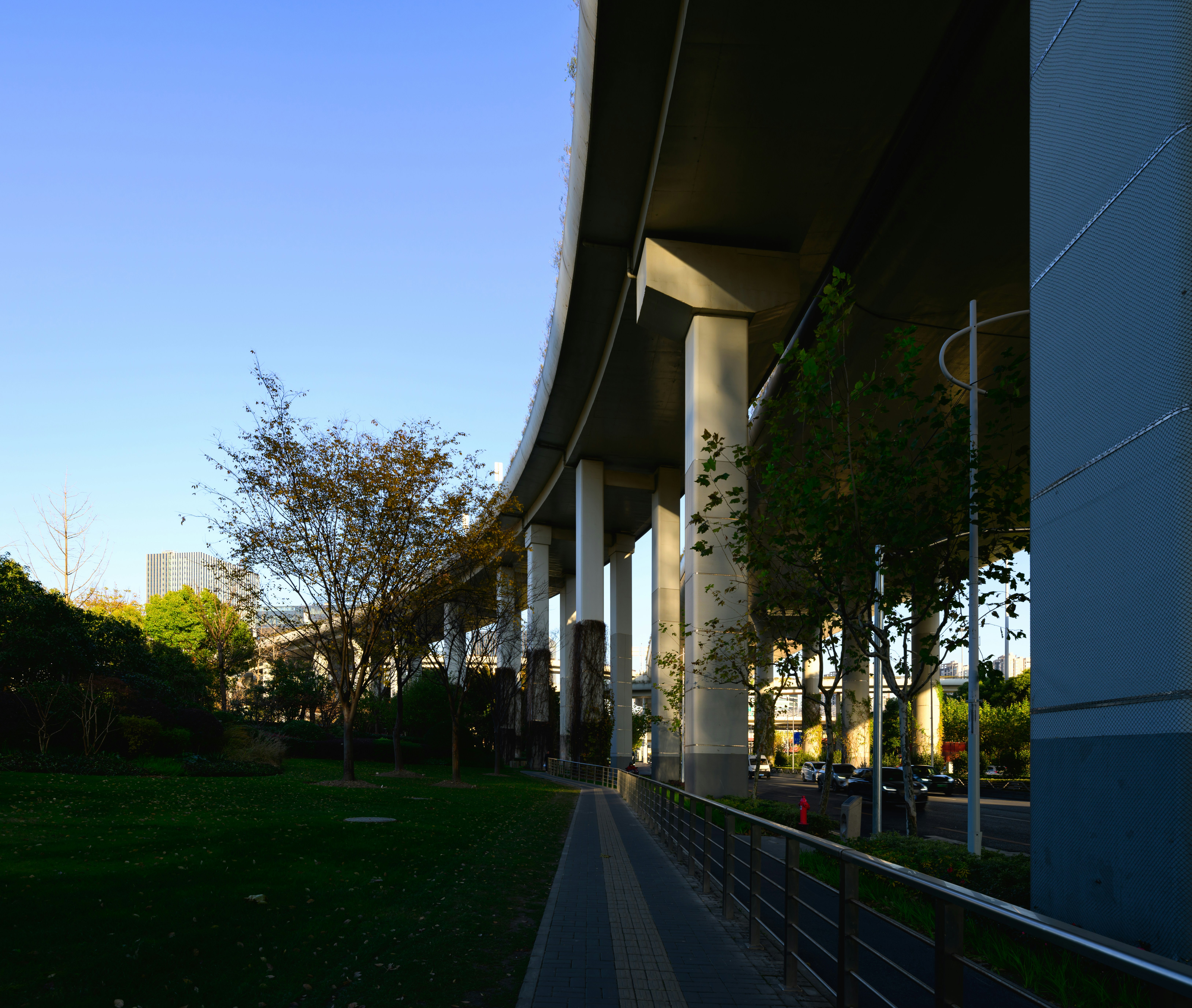 Photo by Declan Sun with Nikon Z8