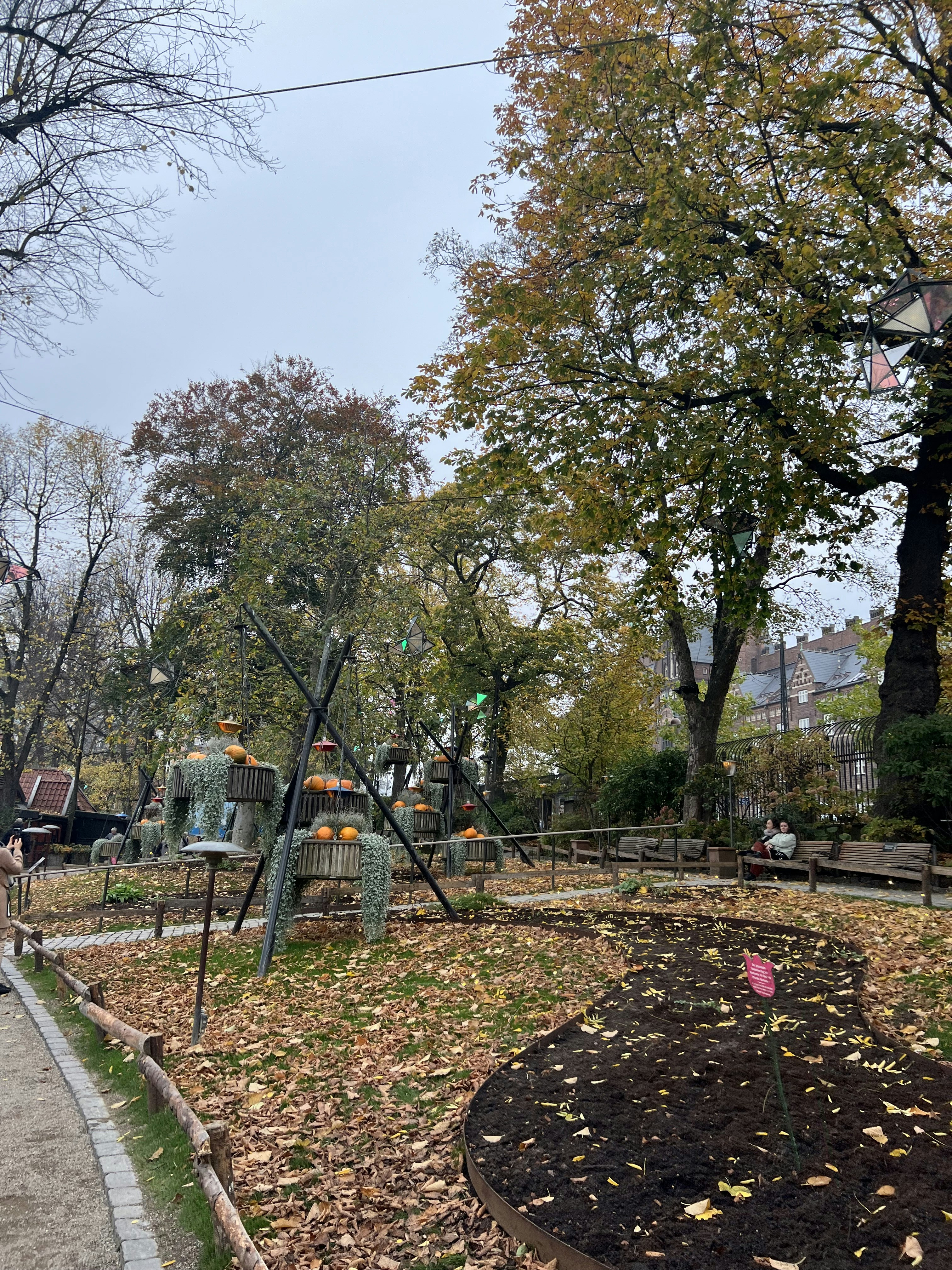 A park filled with lots of leaf covered trees