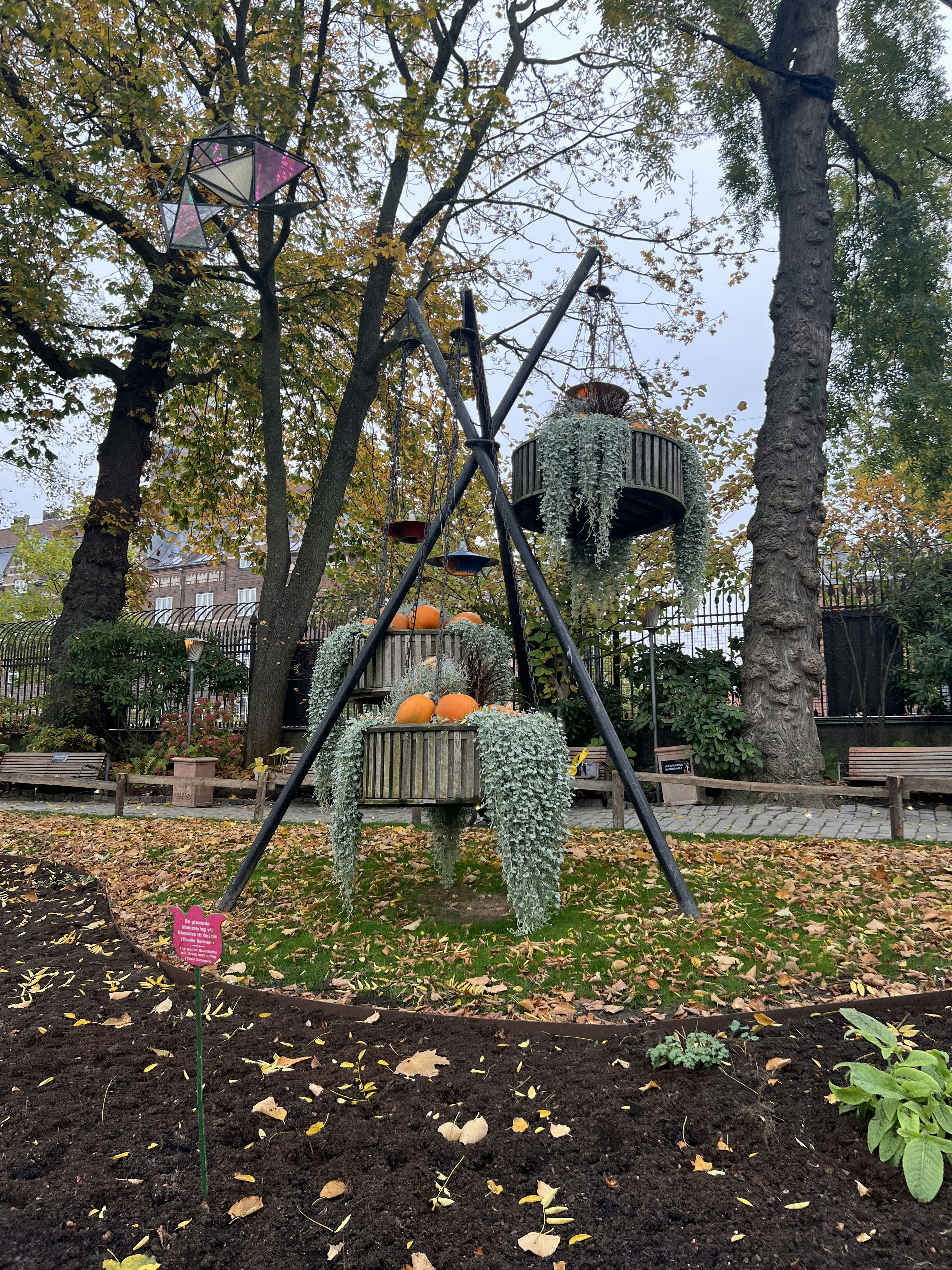 Autumnal Serenity: A Garden's Embrace