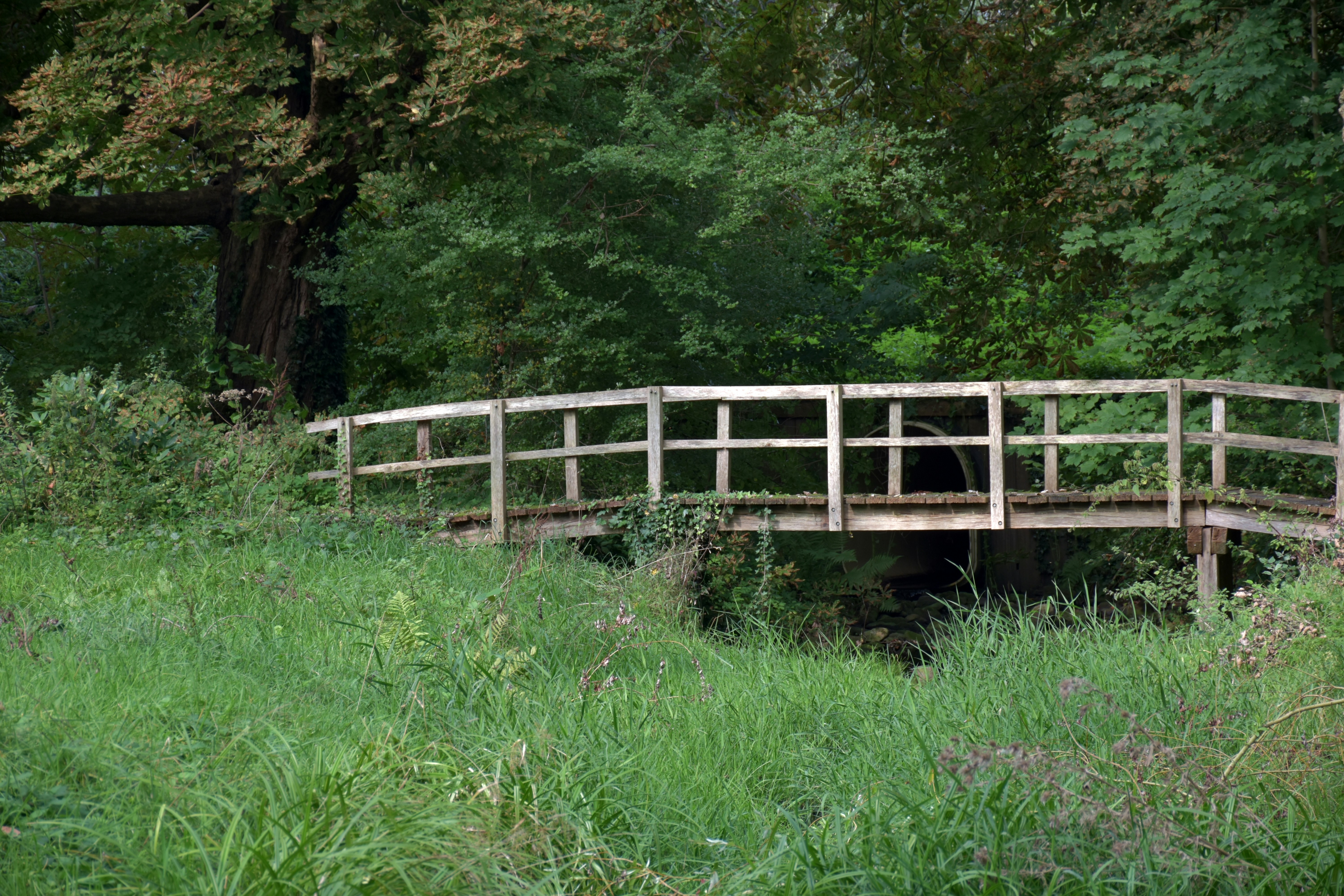 A bridge over a dried up ditch (Nature -silence - rustic)