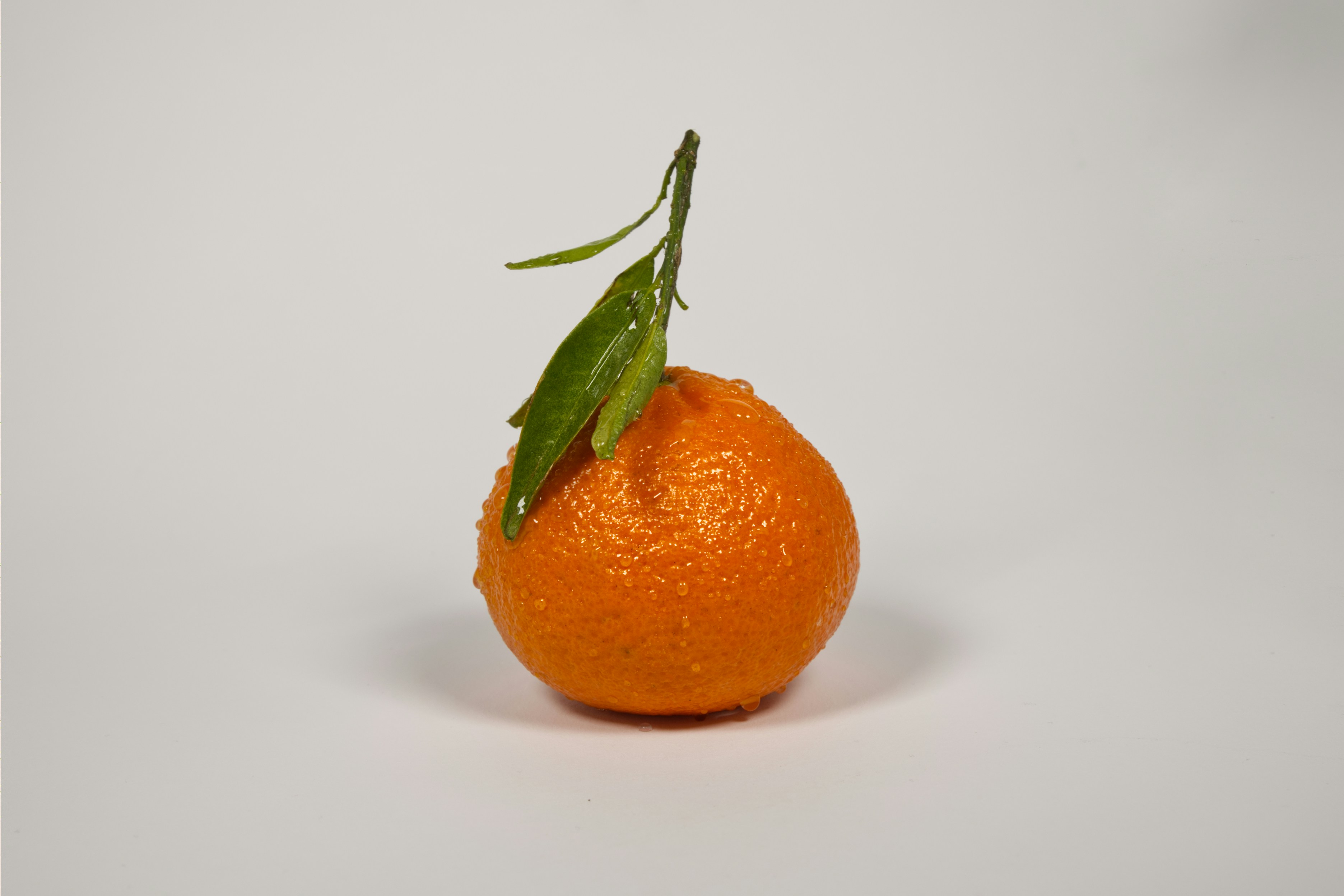 An orange with a green stem on a white background photo – Free ...