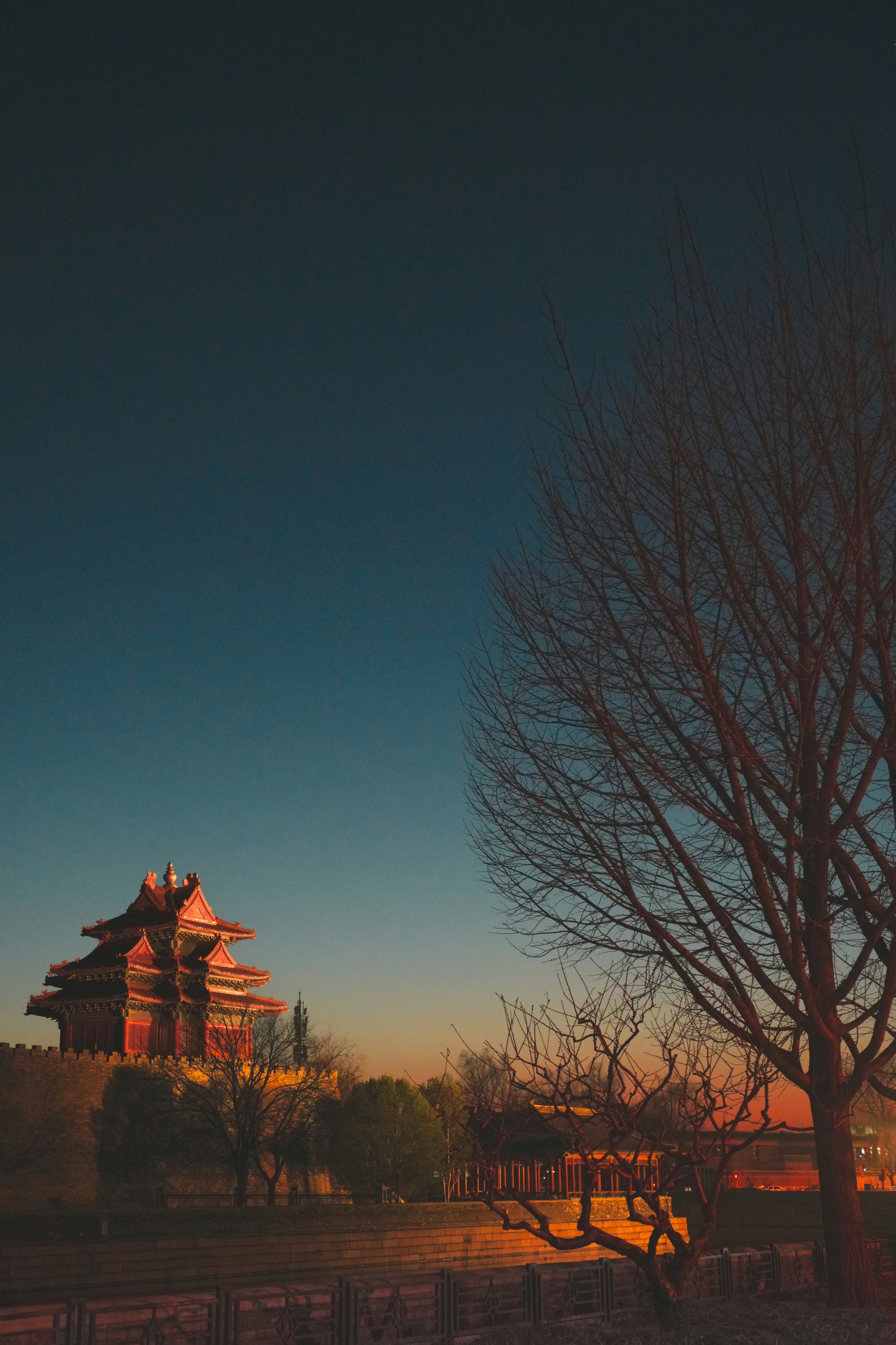 Dusk Over the Pagoda: Framed by a Leafless Tree Along the Riverside Wall