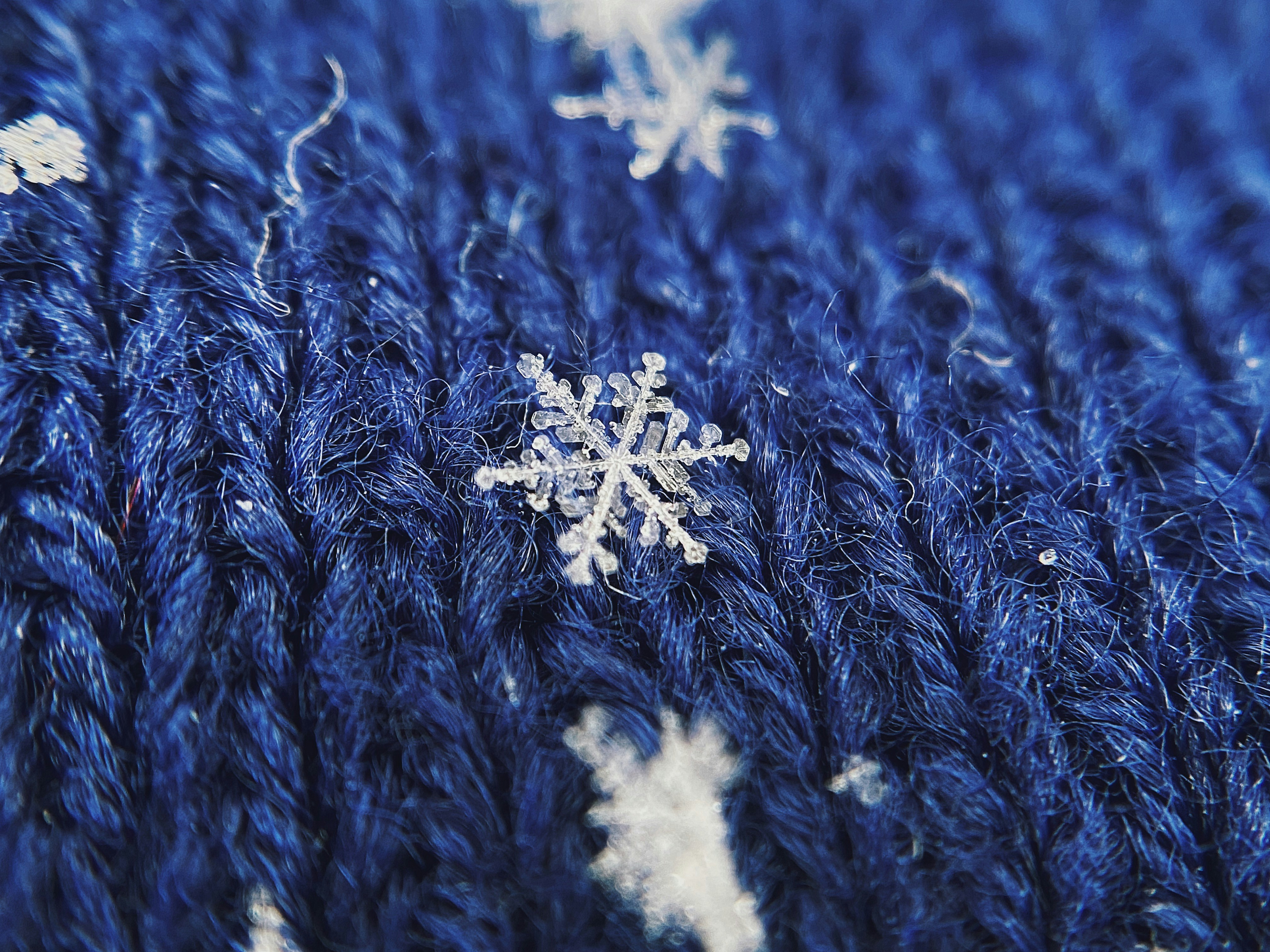 Intricate Snowflake on Knit CanvasDarius Cotoi