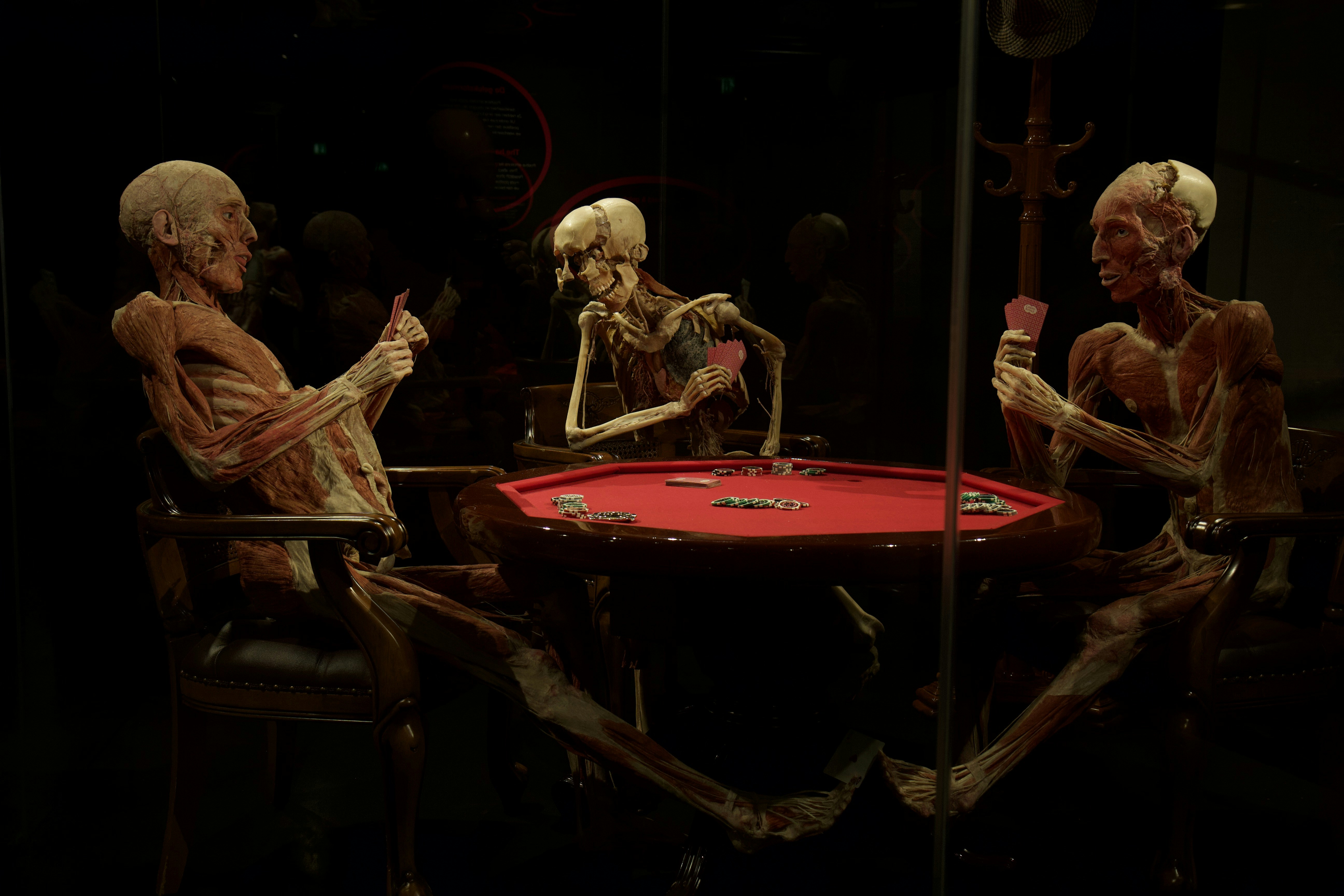 A group of skeletons sitting around a red table photo – Free Woman ...