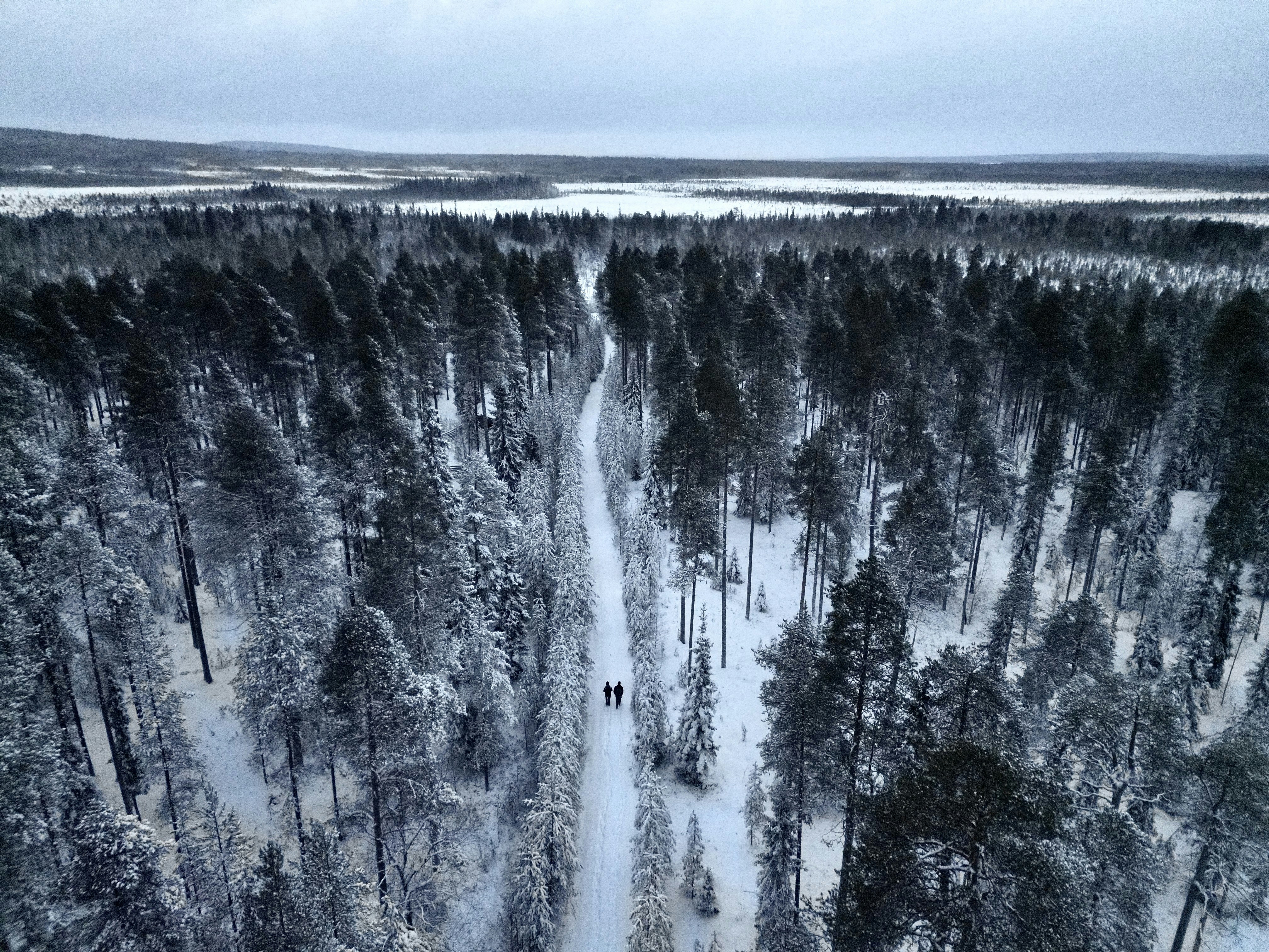 Une vue aérienne d’une forêt enneigée photo – Image gratuite de ...