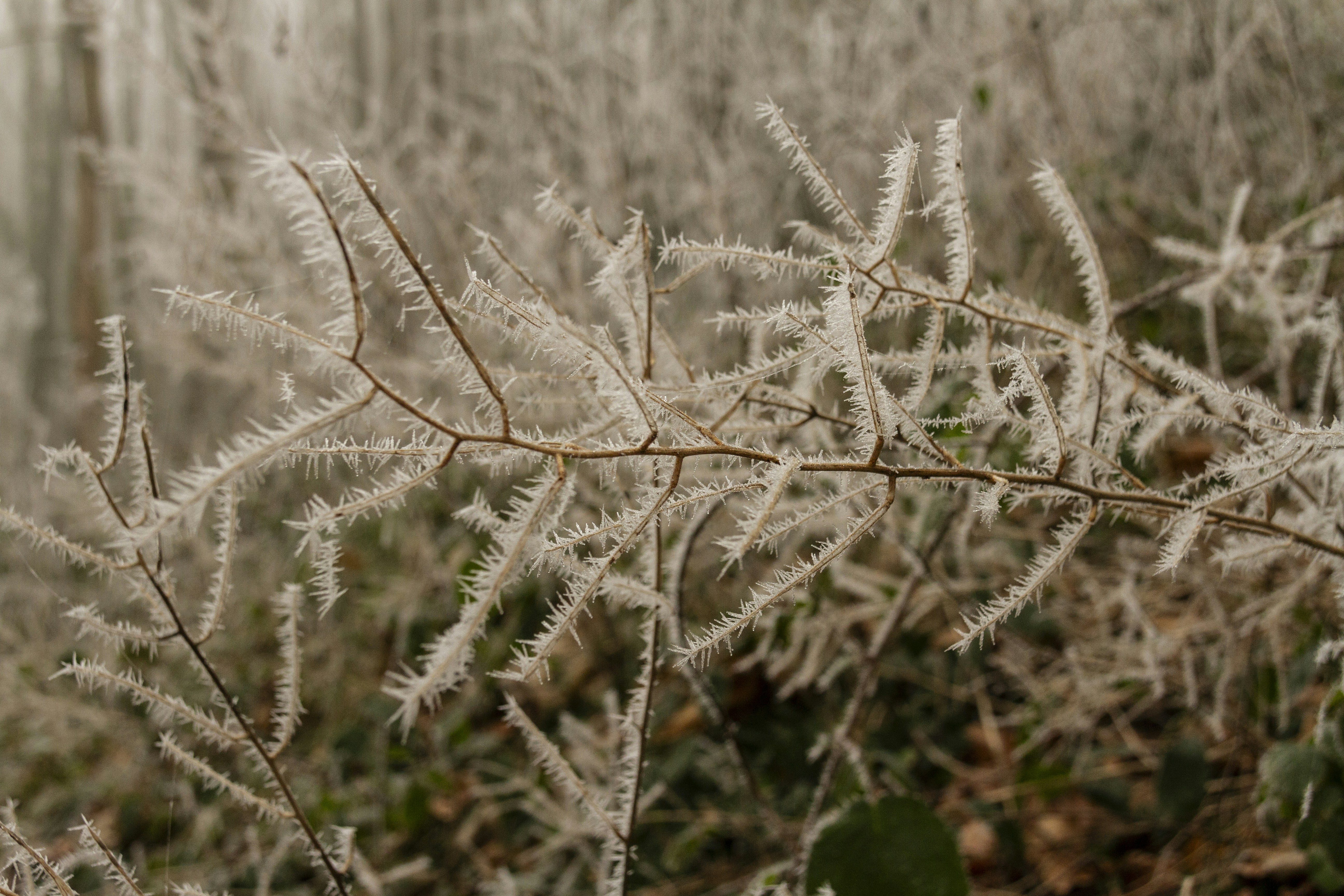 Photo by m c with Canon EOS 7D