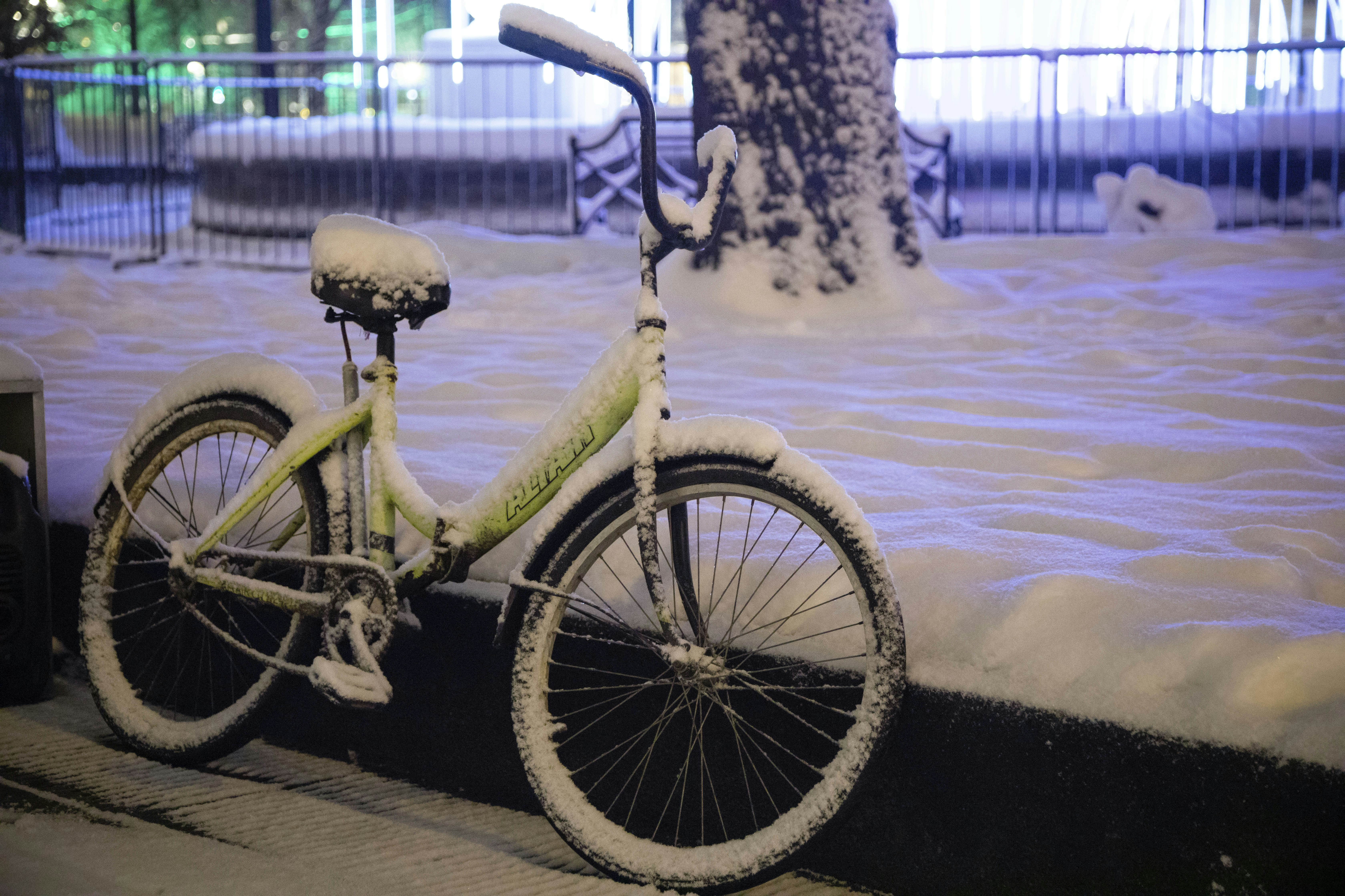 Photo by Belov Sergey with Canon EOS 5D Mark IV