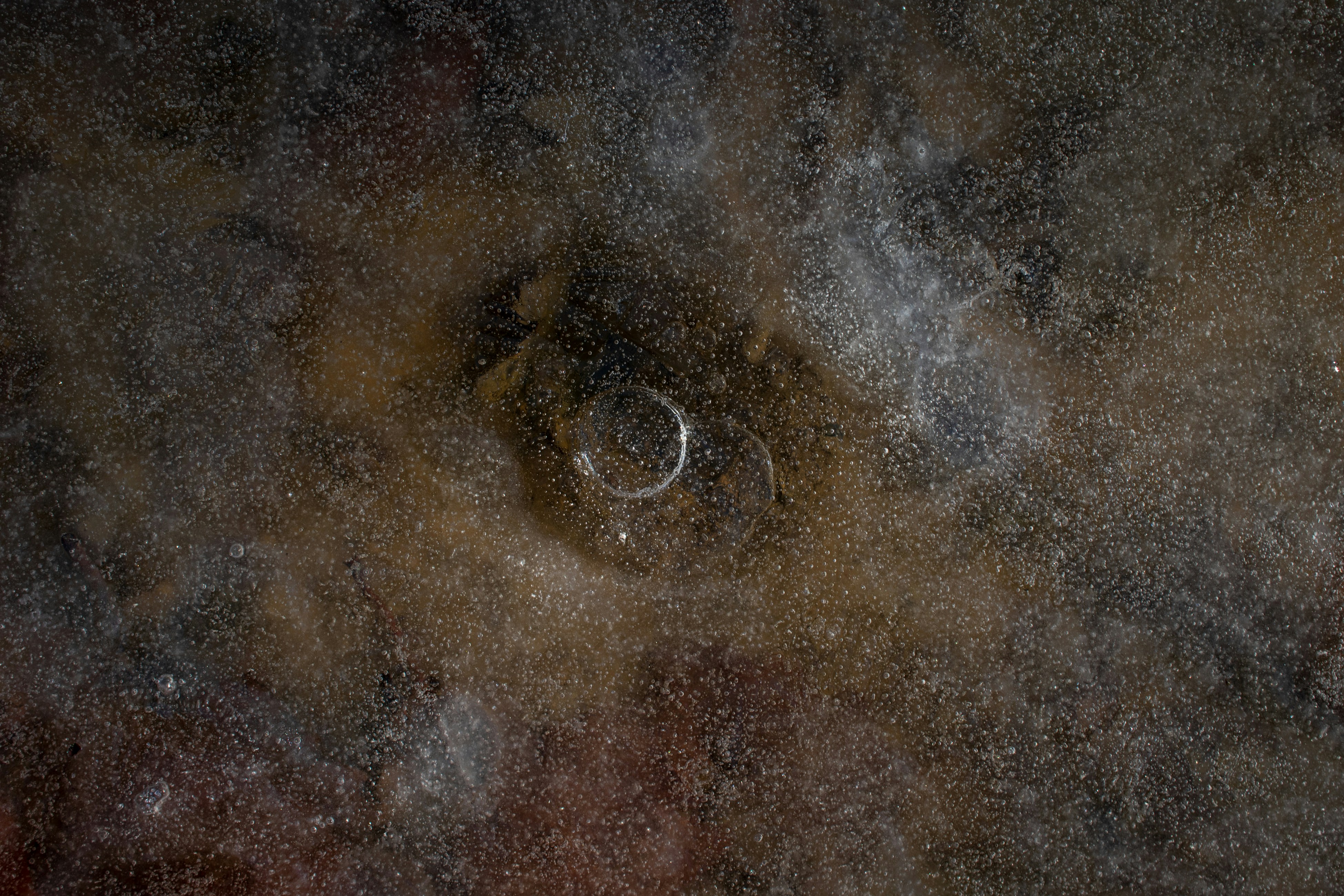 Halo in the Dust: A Ring-Like Structure Woven Through a Stellar Cloud