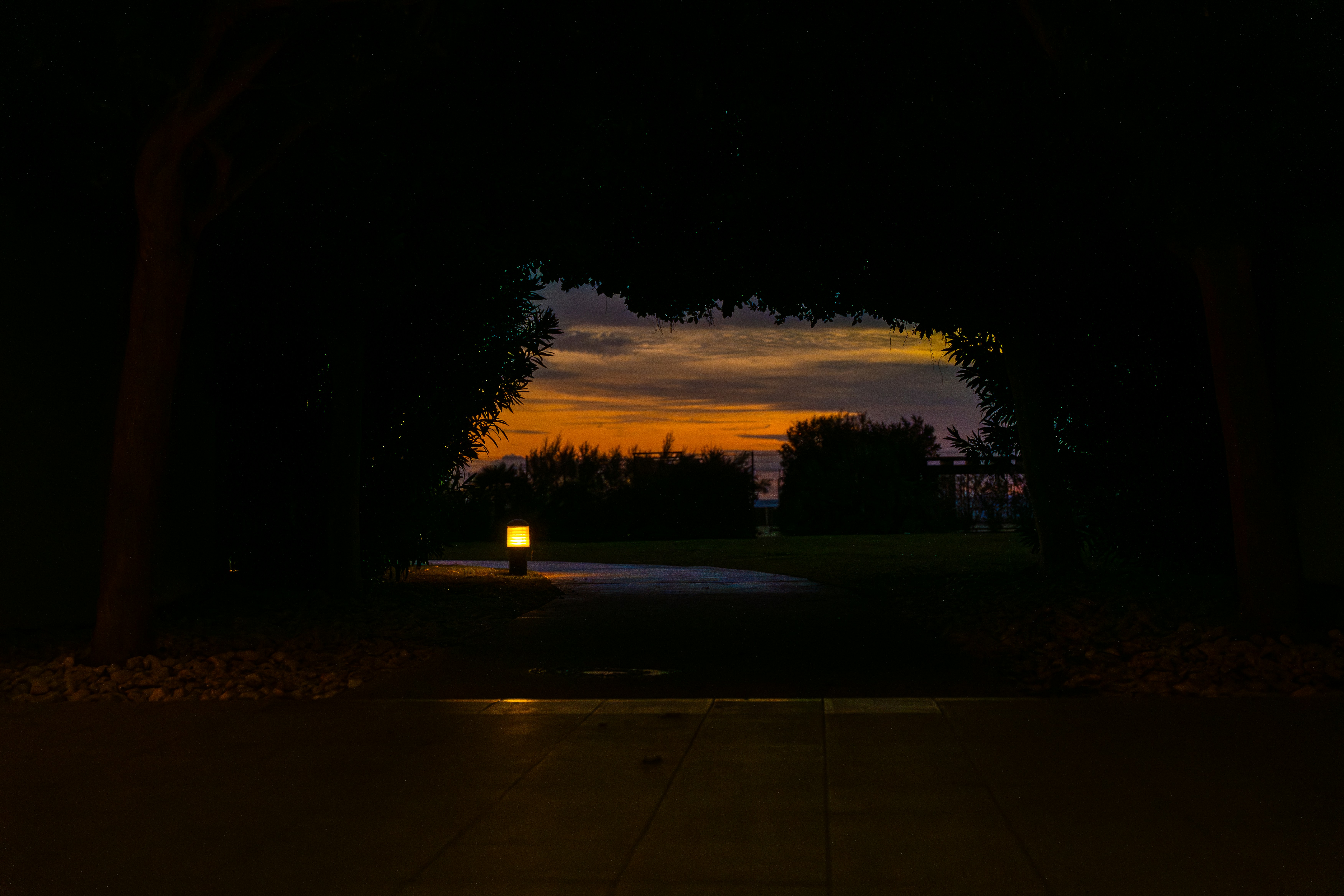 Photo by Abishanth Ahilan with Sony Alpha 7 IV