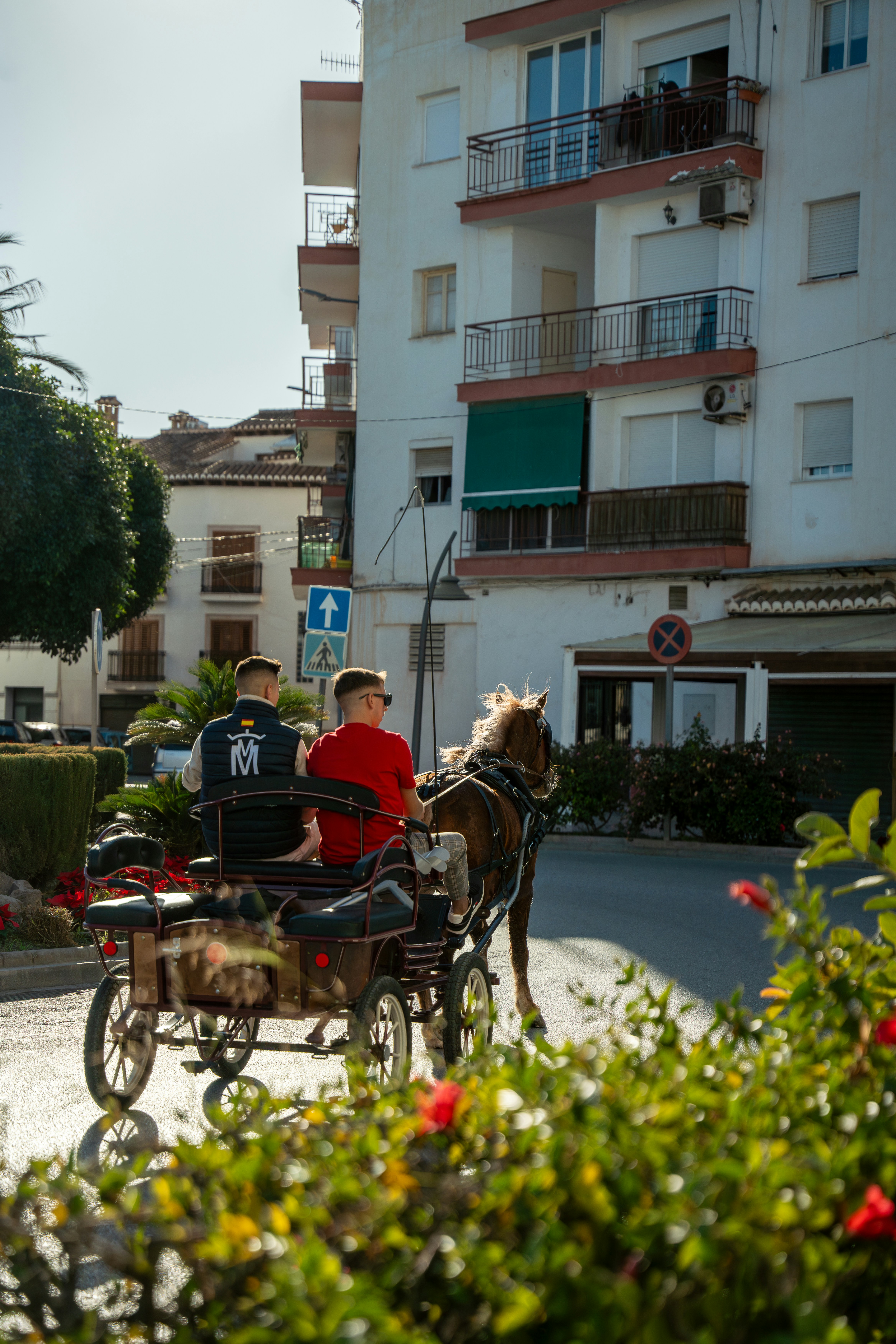 Sunlit Streetcarriage: A horse-drawn moment beneath sun-washed balconies