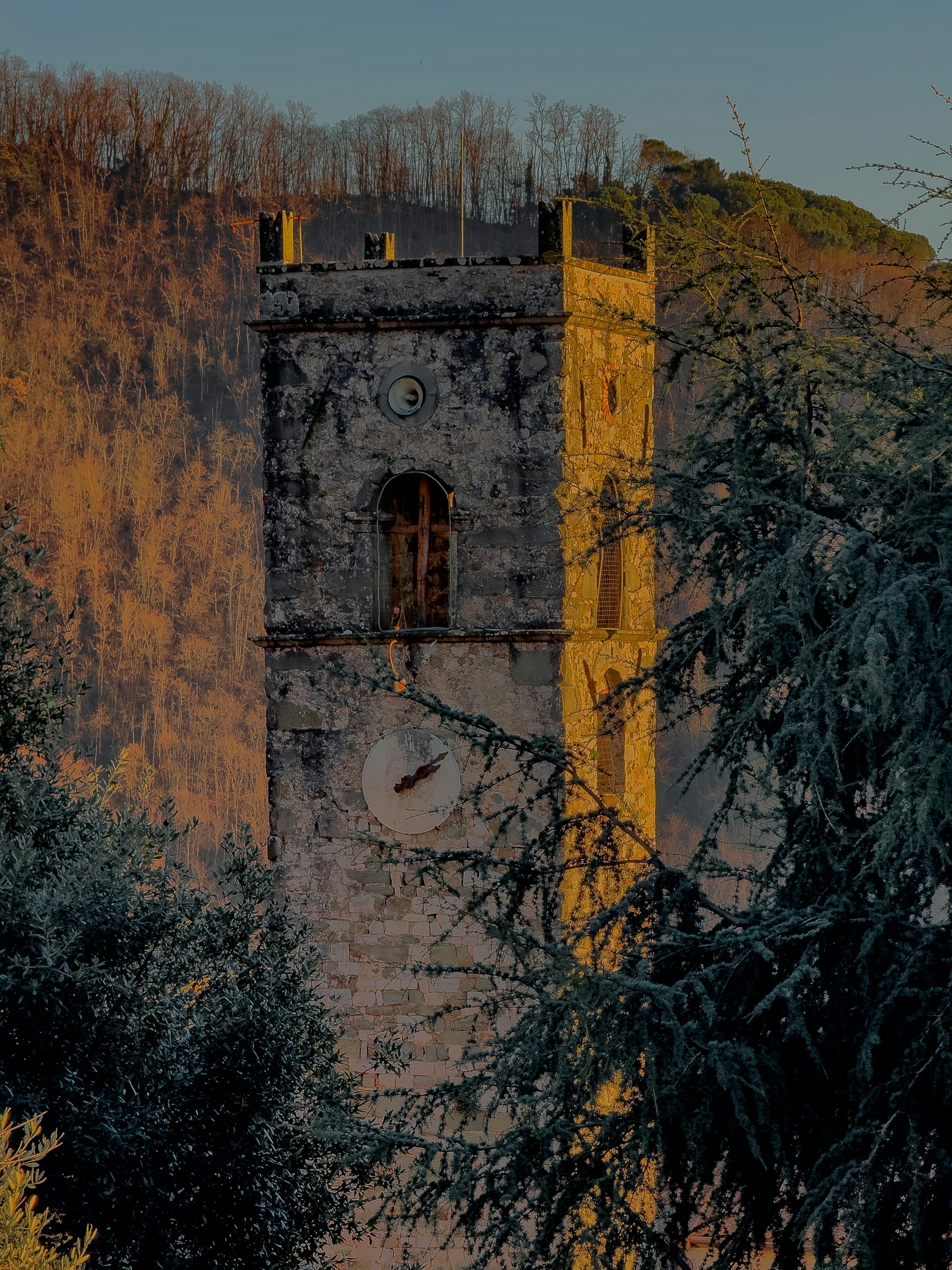 Sunlit Clocktower Emerges from Winter Pines
