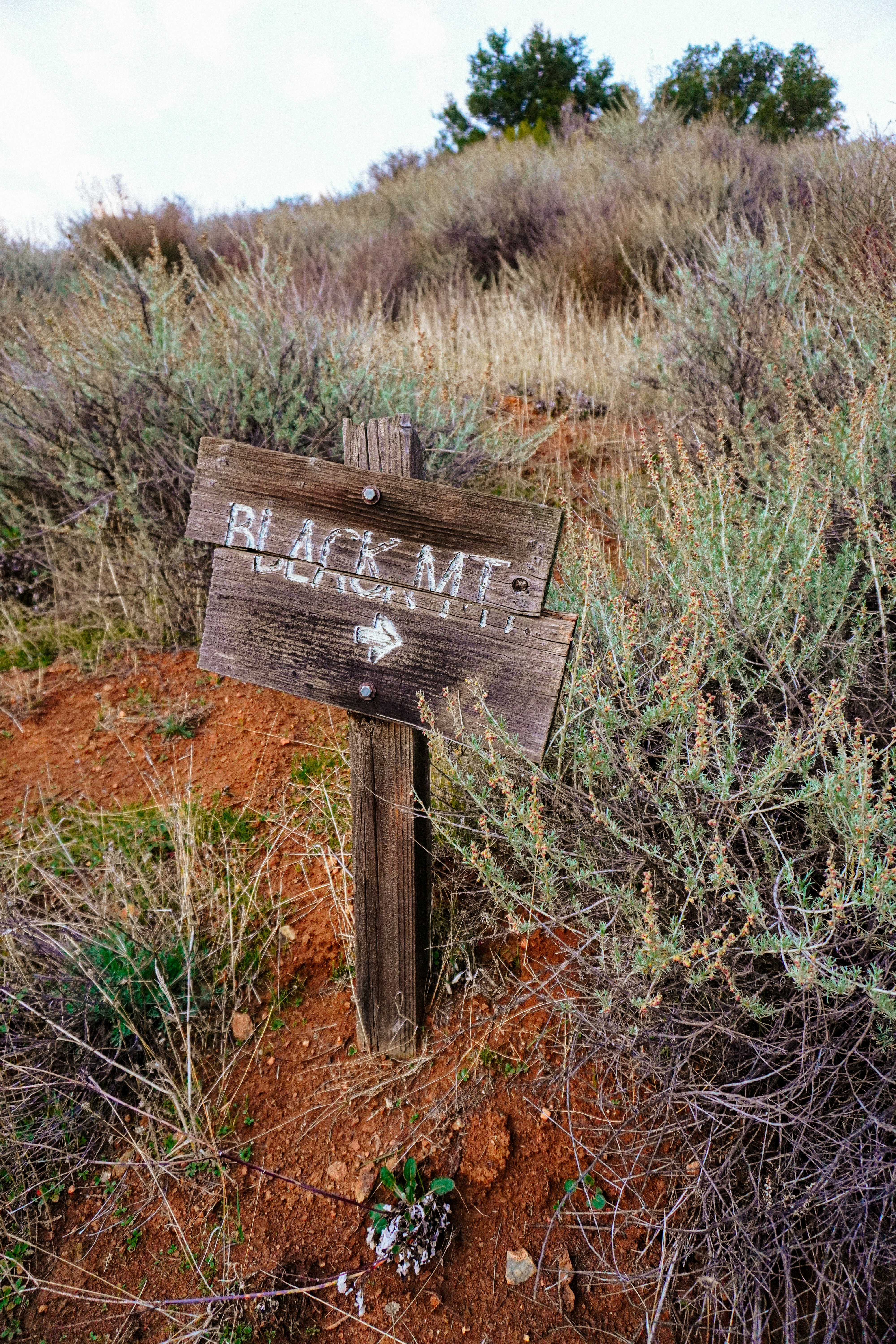 Weathered trail sign in sun-baked scrub near a rugged path